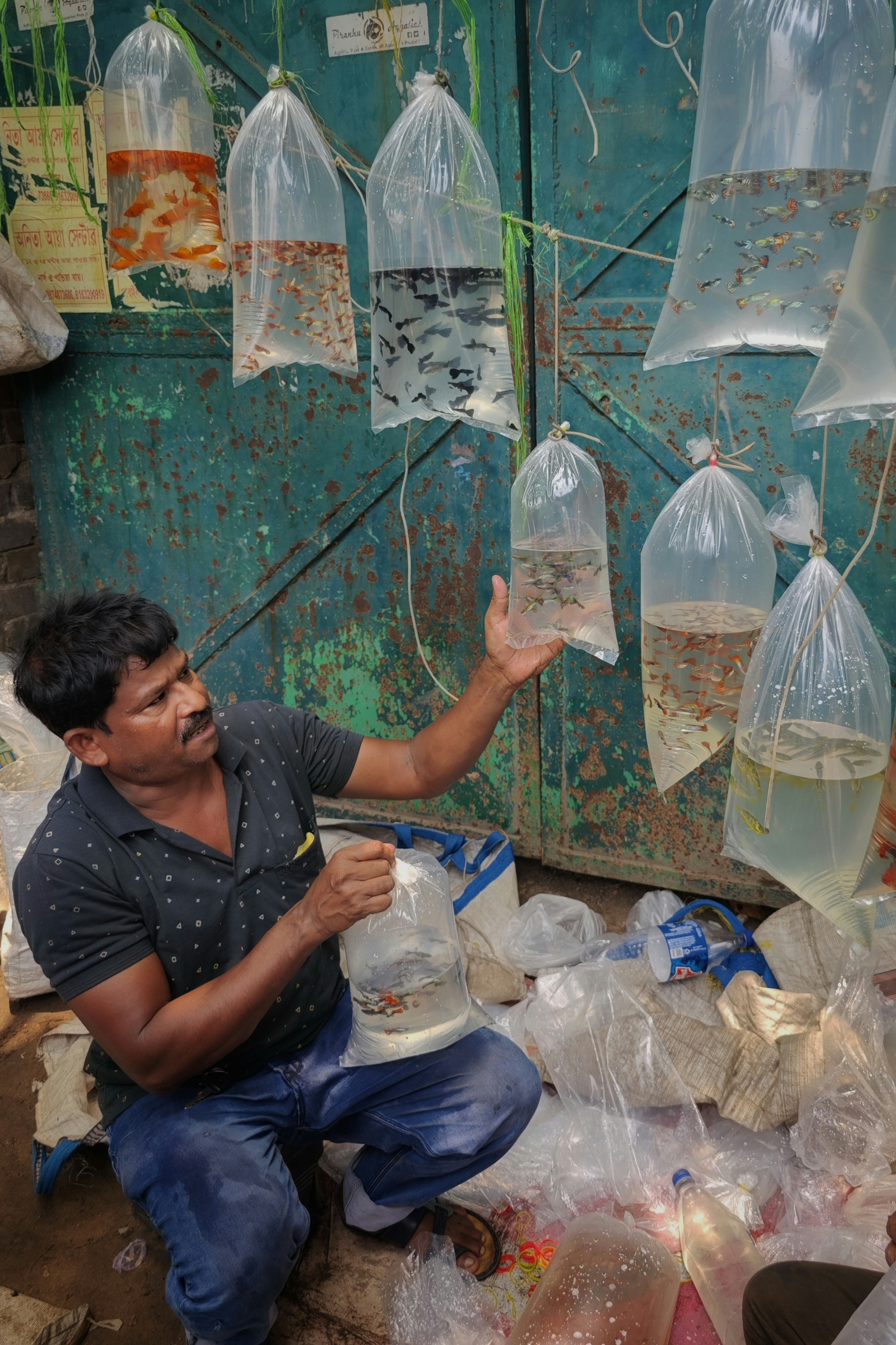 Hands at Work: A Fish Farmer Presenting a Tank Mosaic in a Green-Warped Stall