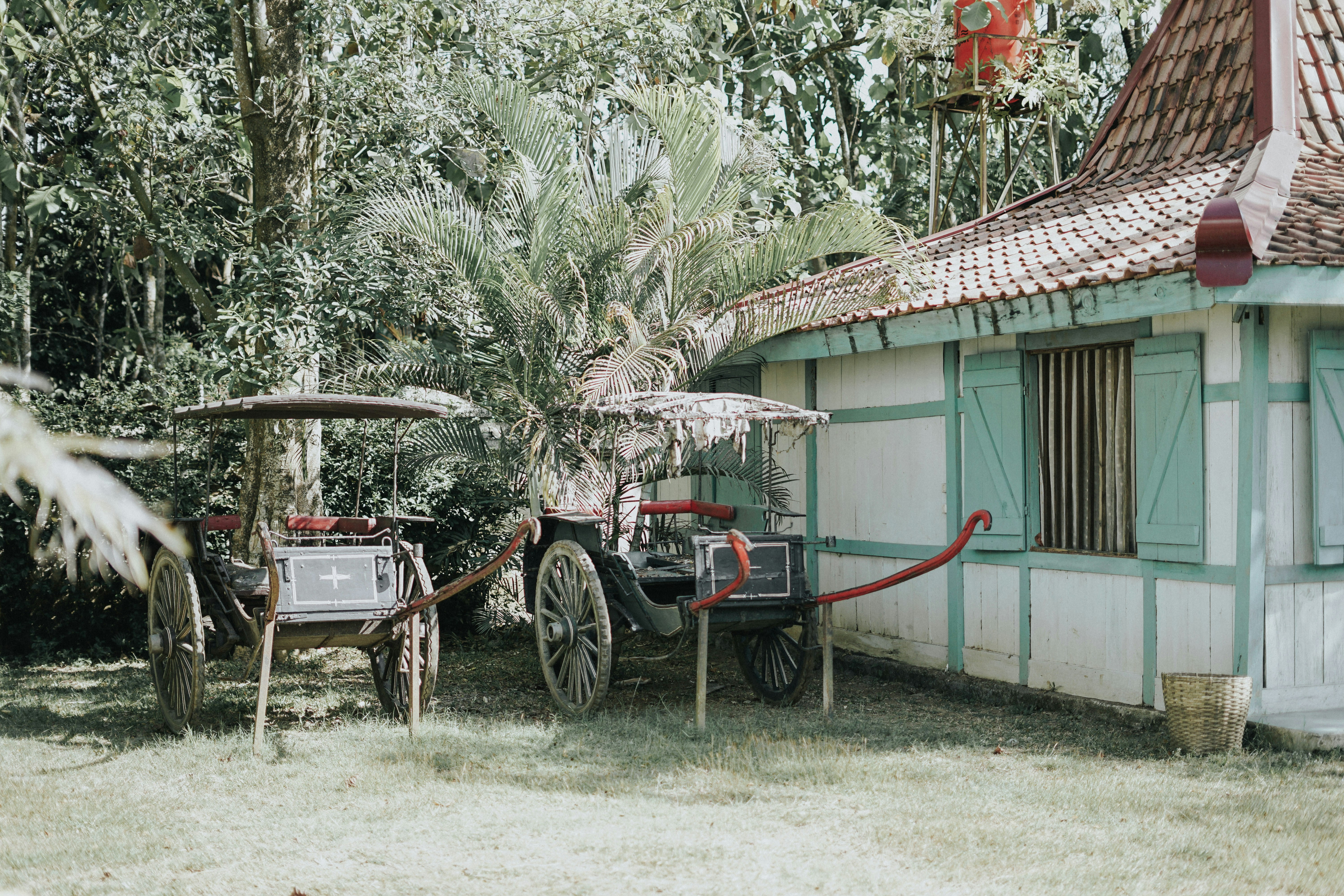 Pastoral Quiet: Horse-Drawn Carts Beside a Turquoise Cottage