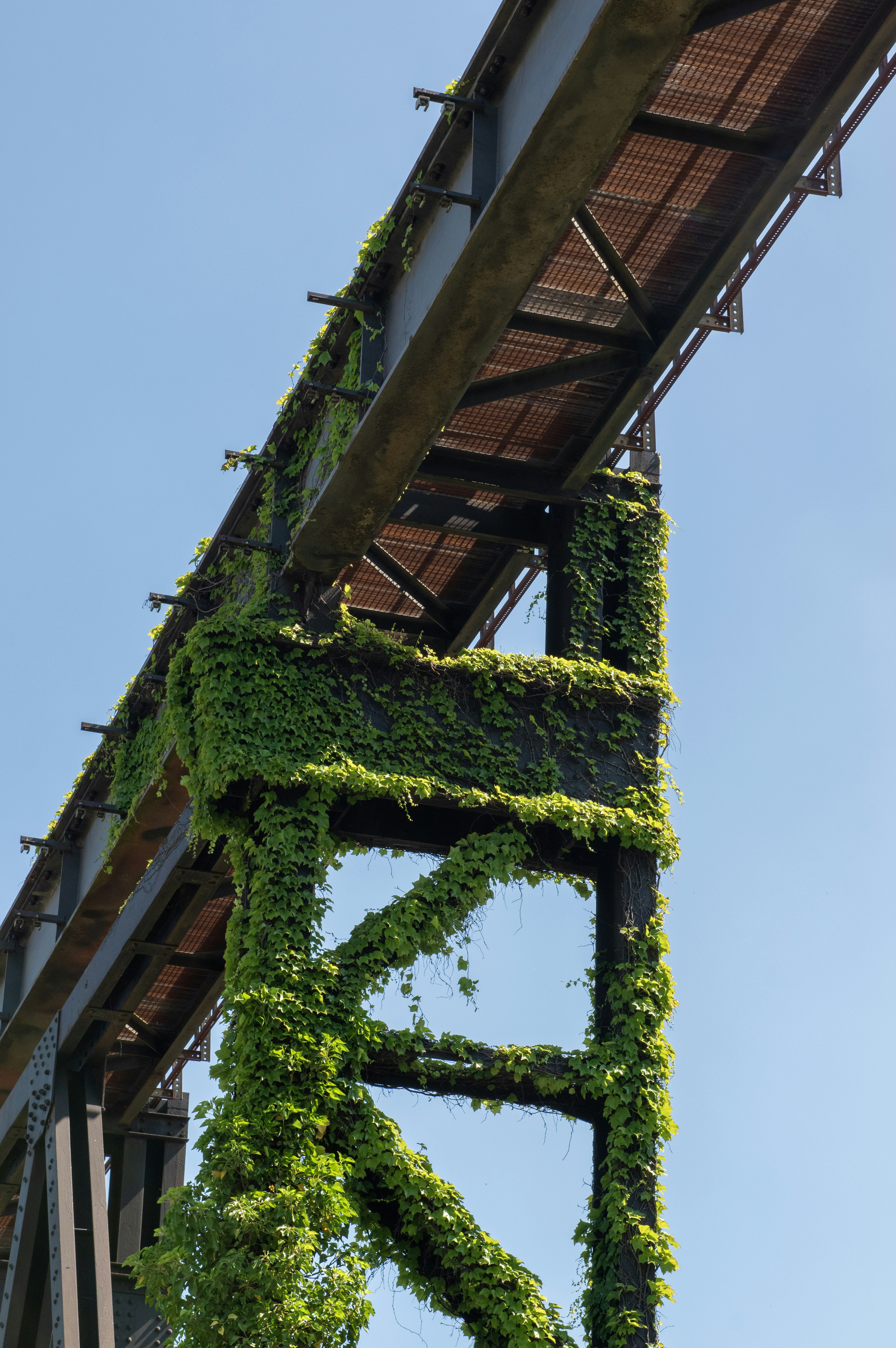 Vines Cling to the Iron Spine: A Skyward Steel Truss