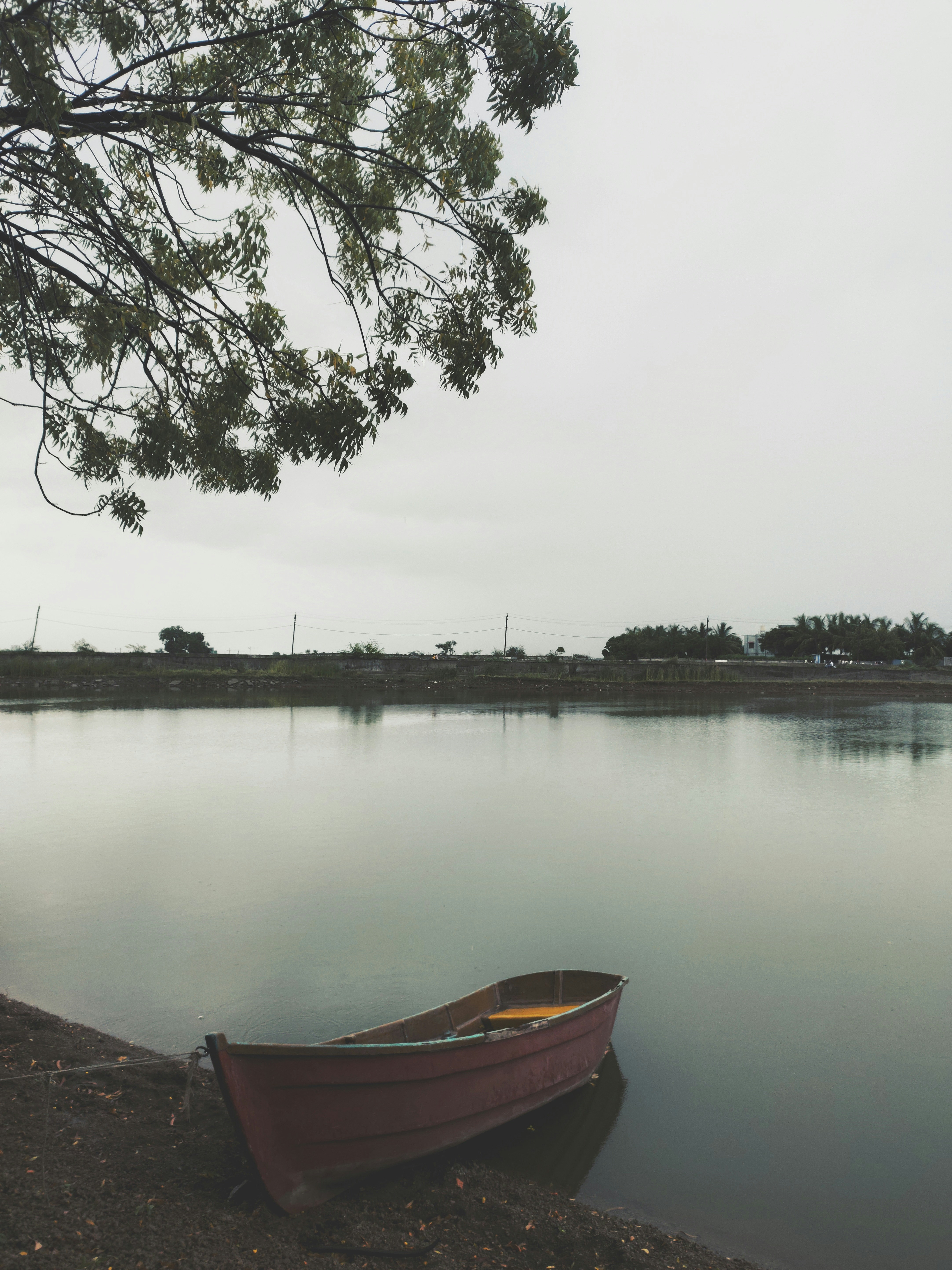 Photo by Jitendra Verma with Vivo Z1X