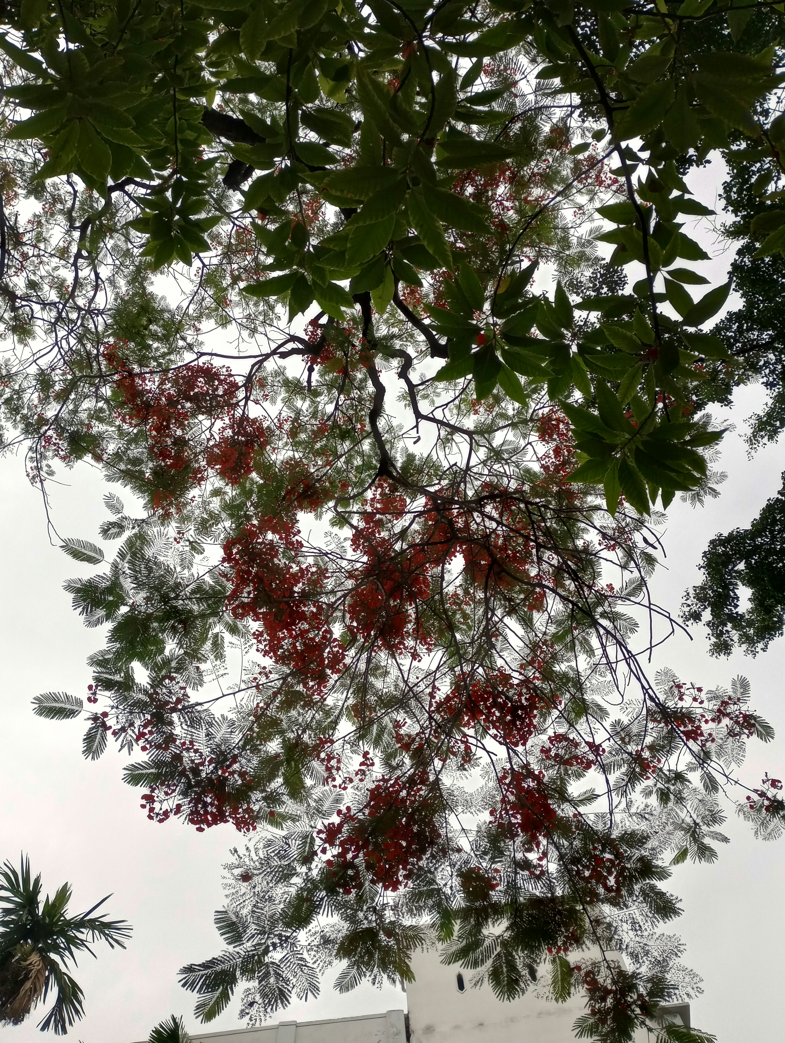 Photo by sharif abu with Motorola Moto G31