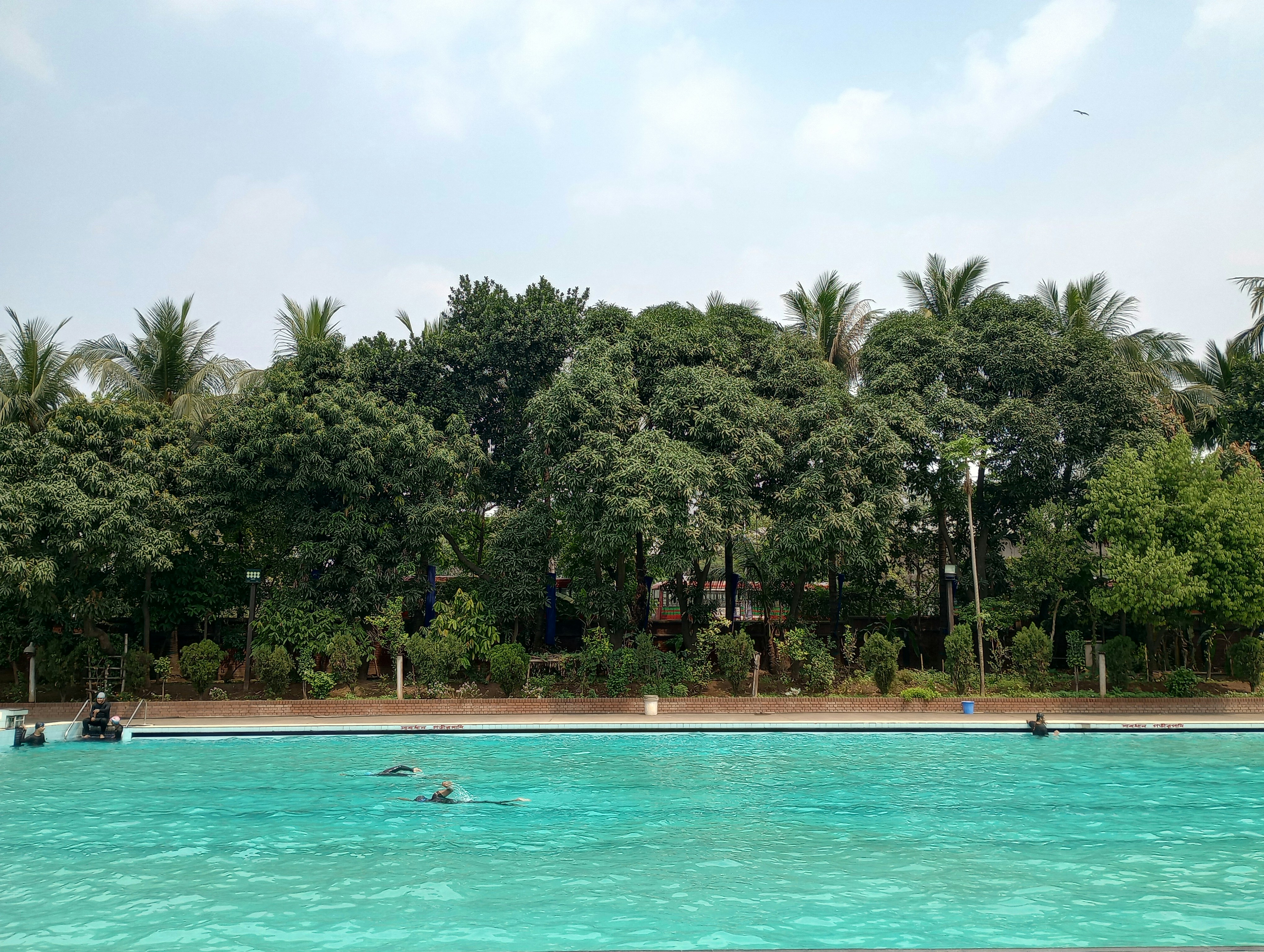 Turquoise pool in the foreground with a dense tropical backdrop of palms and green trees. The scene evokes a resort-like, tranquil outdoor space.
