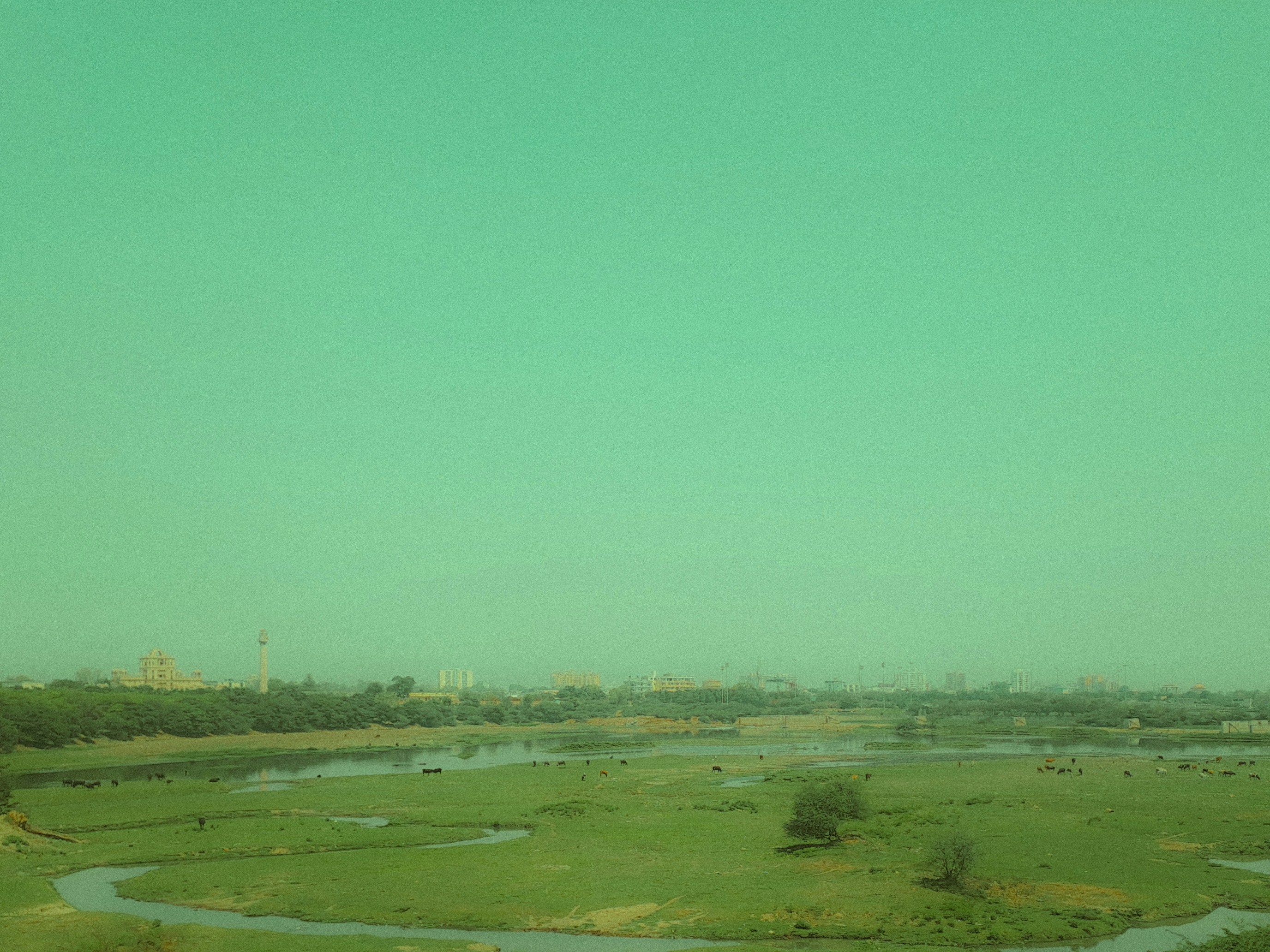 Photo by Roshan Kmr with Samsung Galaxy A33 5G