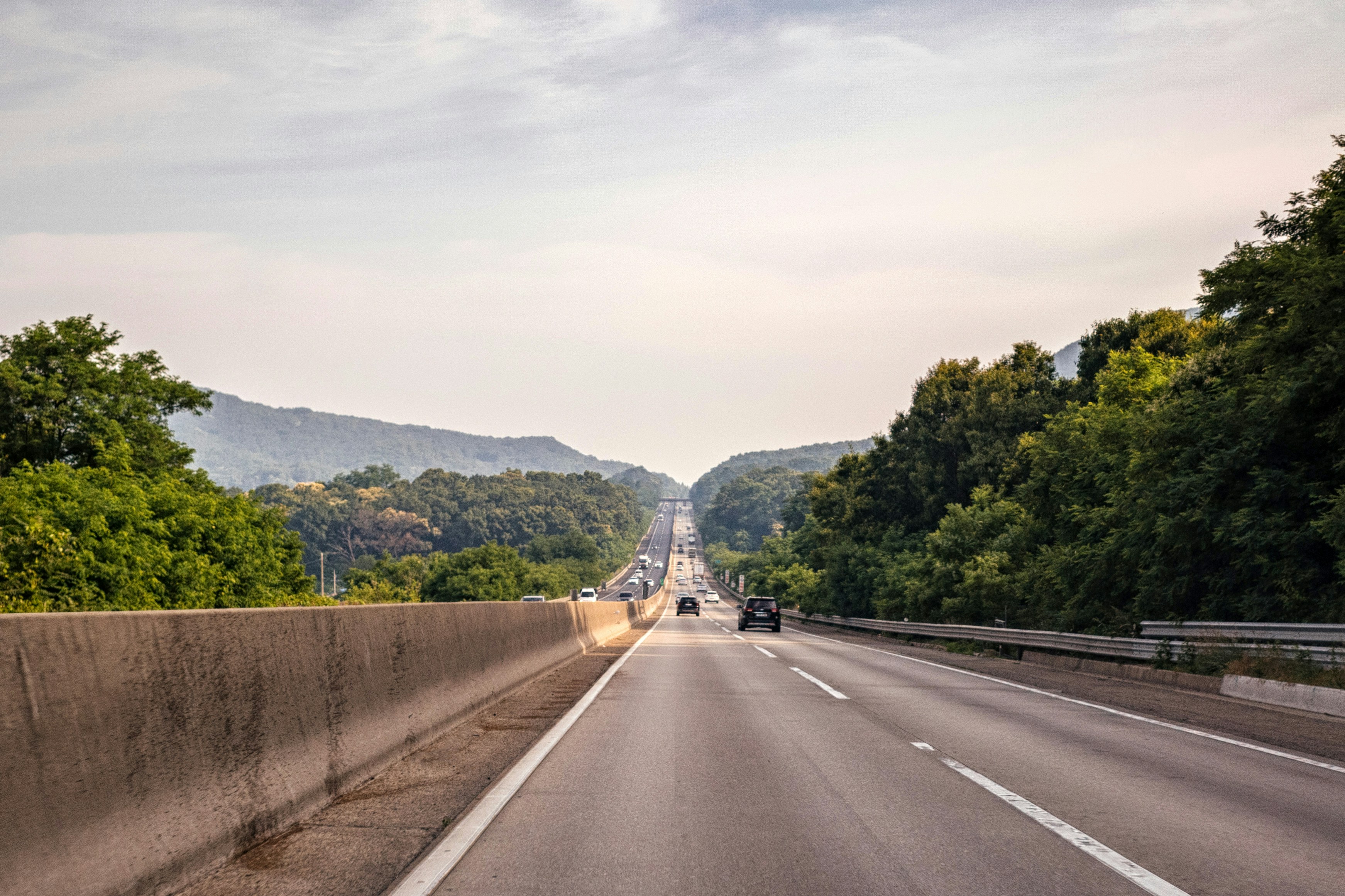 A car driving down a highway next to a forest photo – Free Gr3 Image on ...