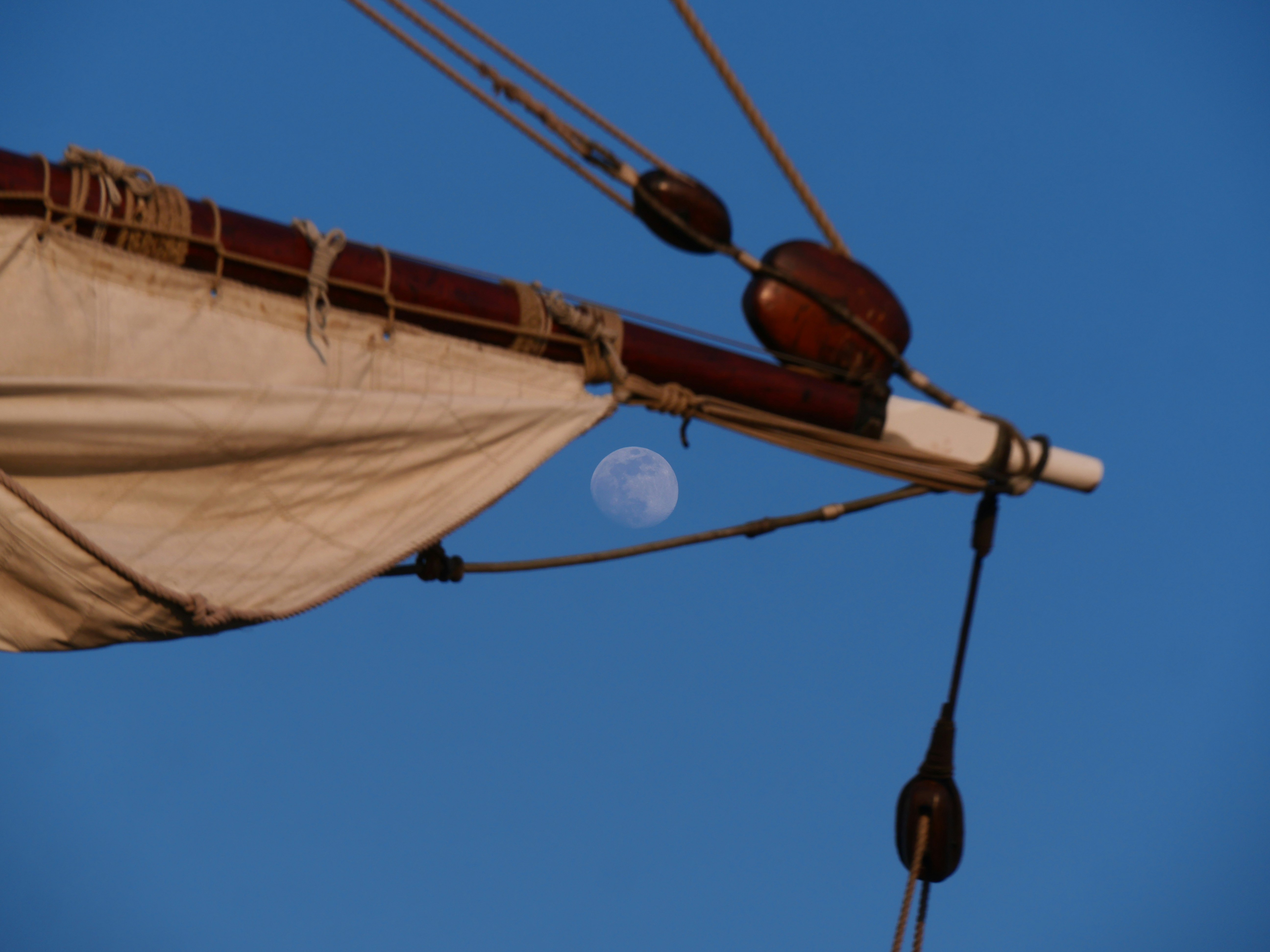 Moon peeks through the sailboat's rigging against a clear cobalt blue sky.