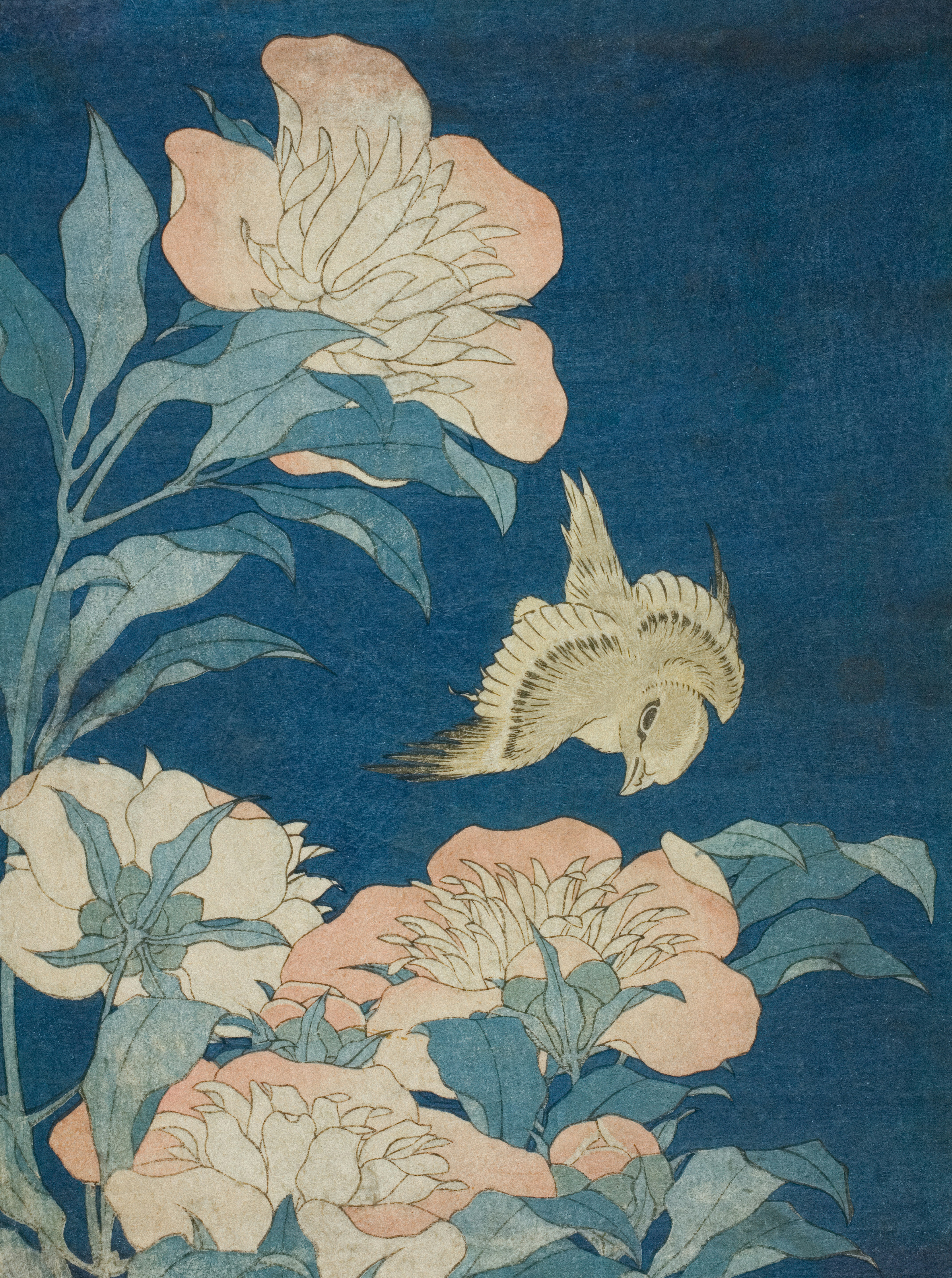 A painting of a bird flying over a bunch of flowers photo – Free Art ...