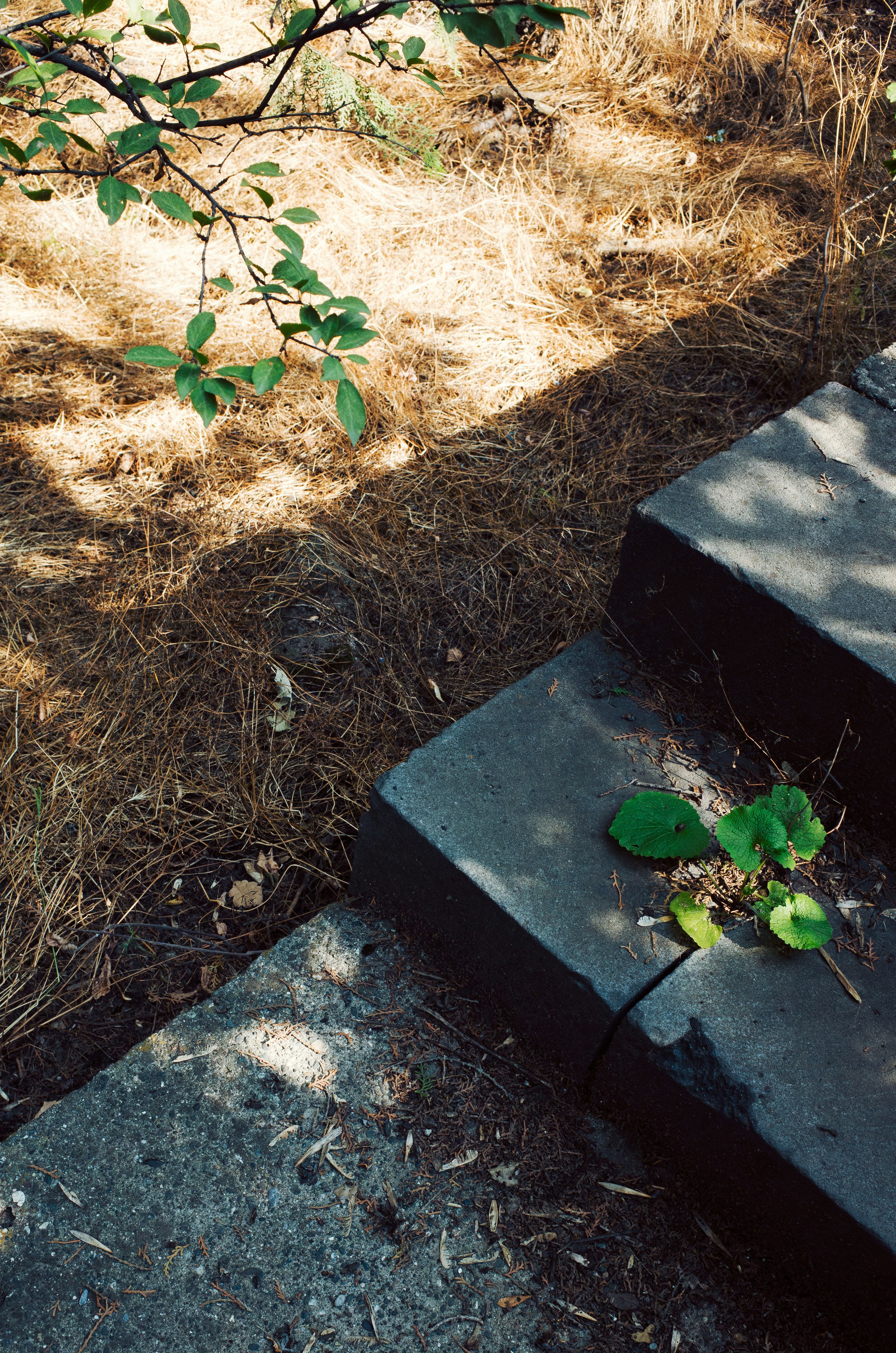 Photo by Yuri Krupenin with Ricoh GR II