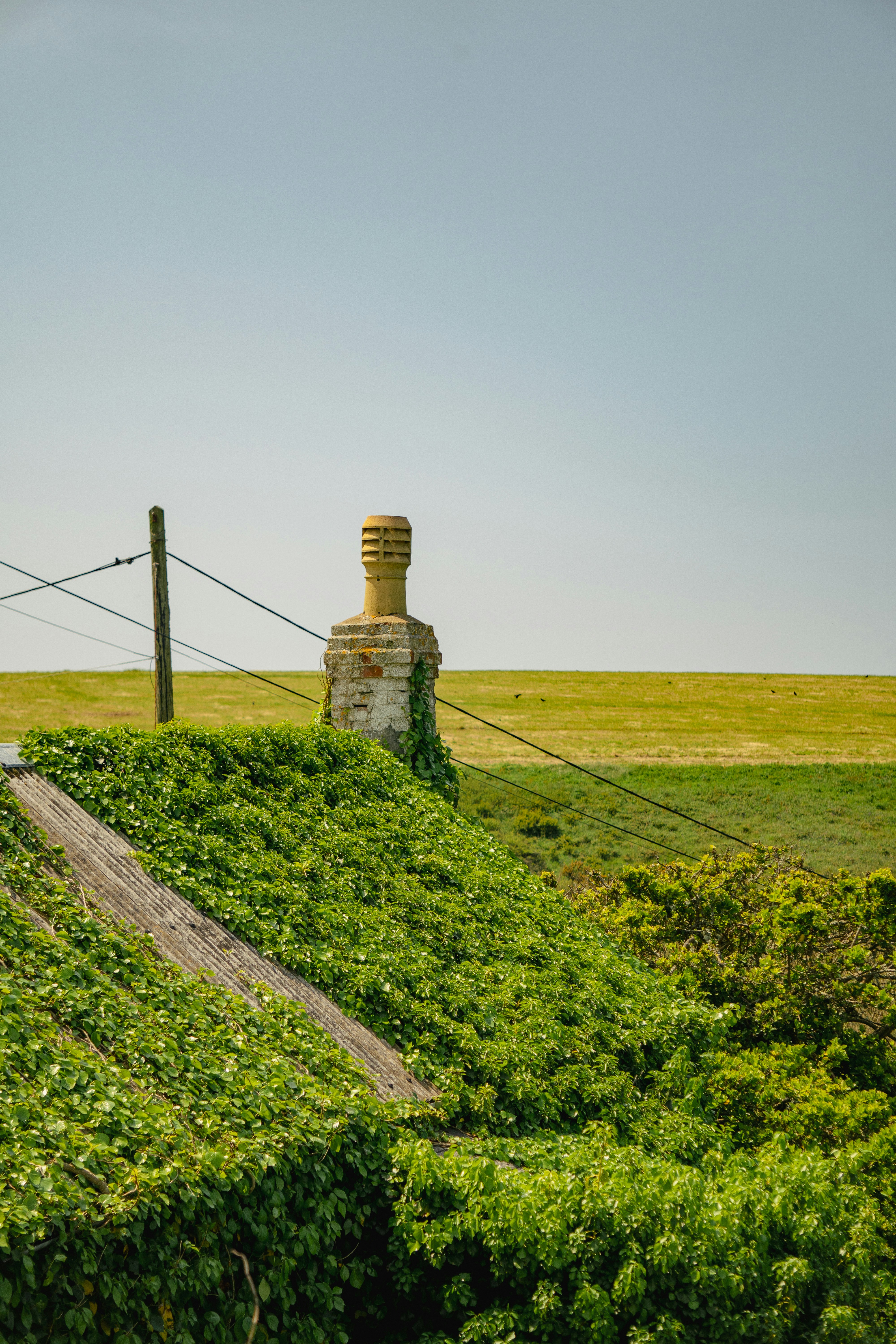 Chimney on the Vine-Covered Ridge