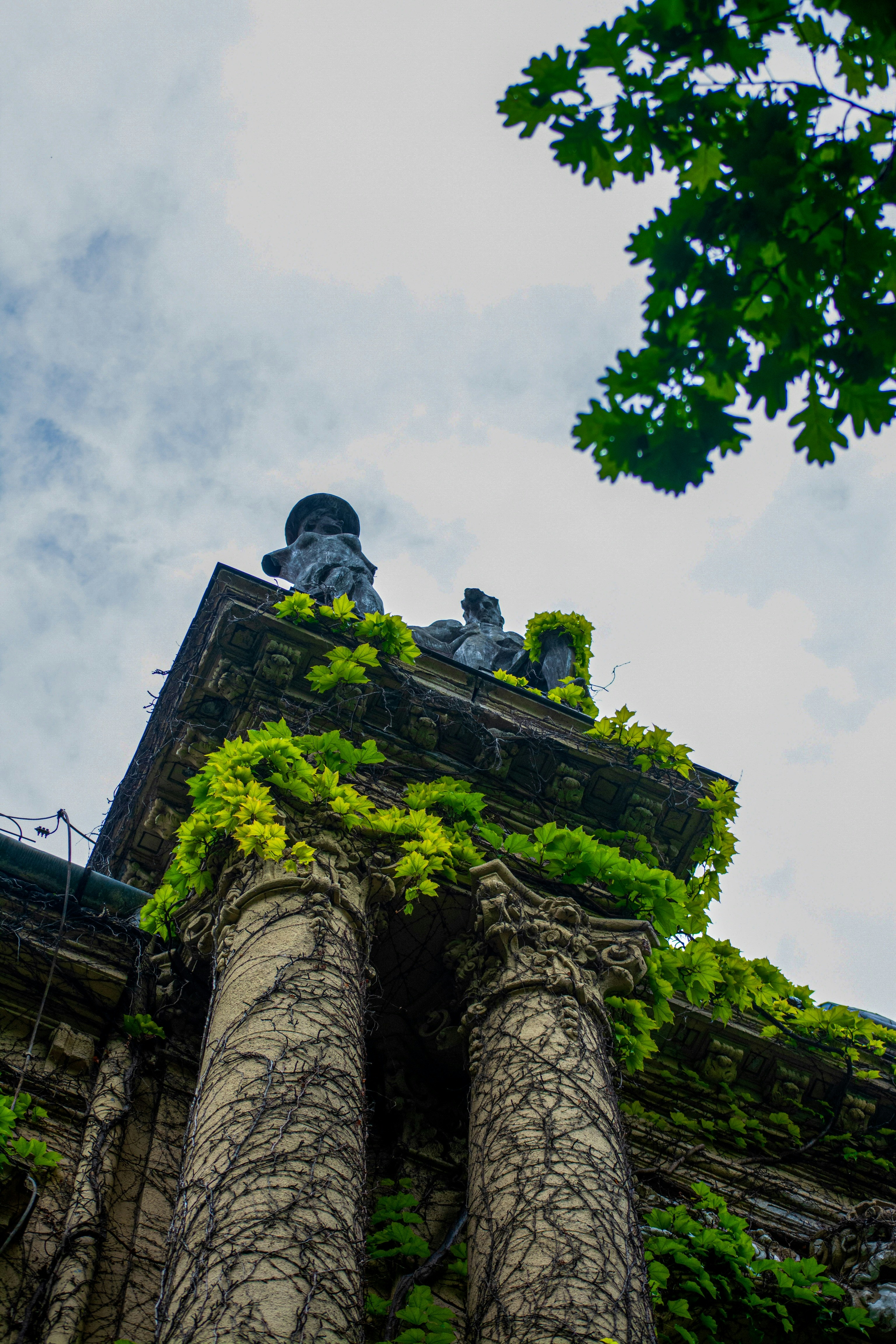 A very tall building with some plants growing on it photo – Free ...