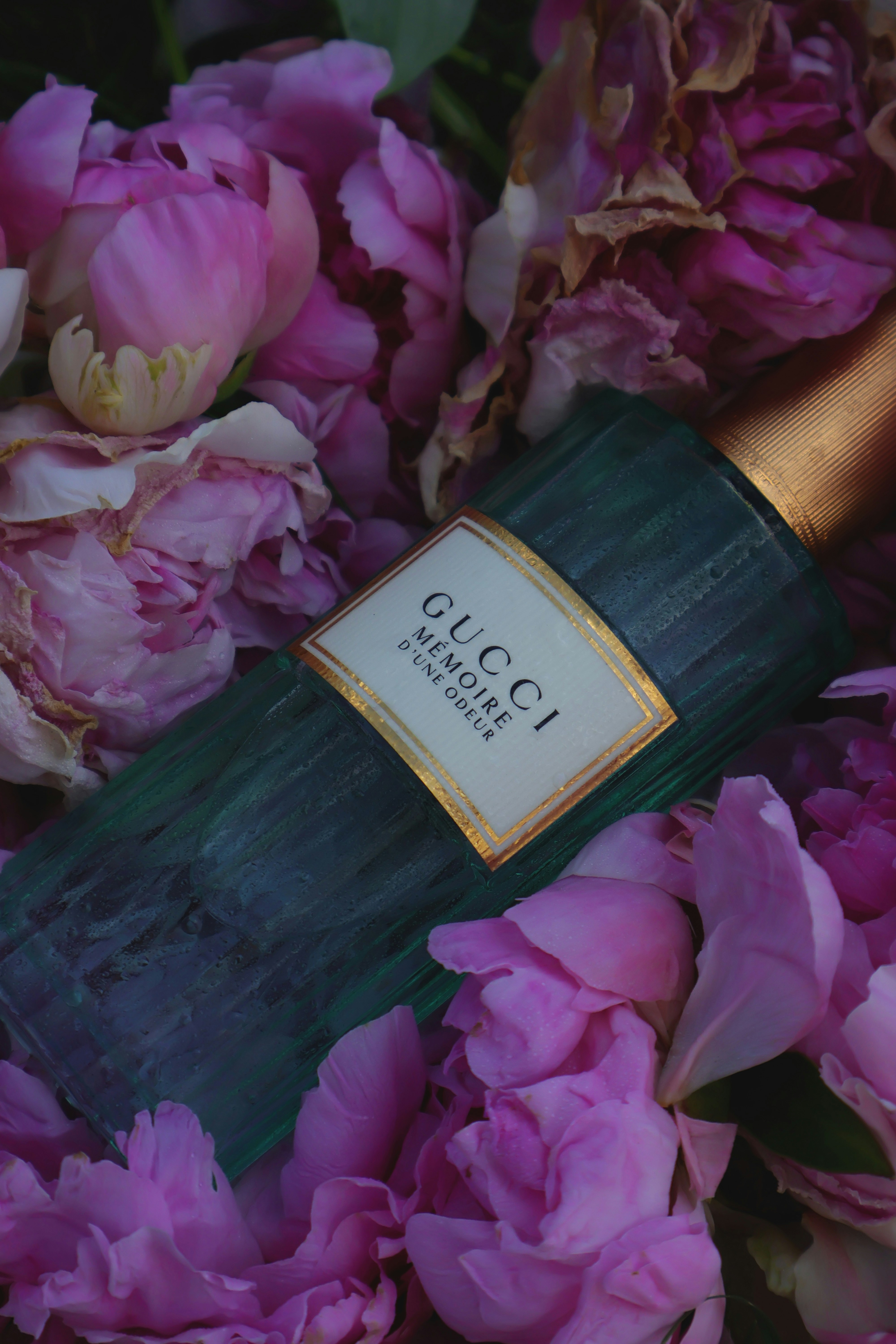 Fragrance Embraced by Nature's Palette