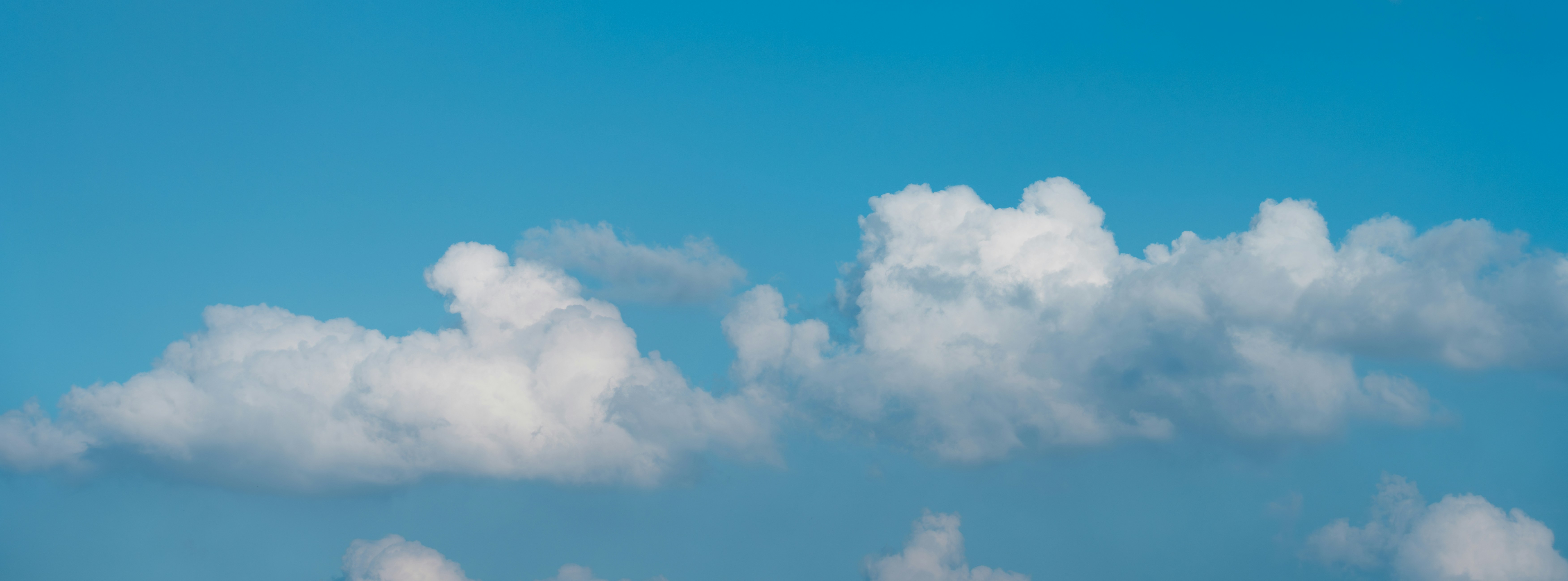 Photo by Limi change with Sony Alpha 7 IV