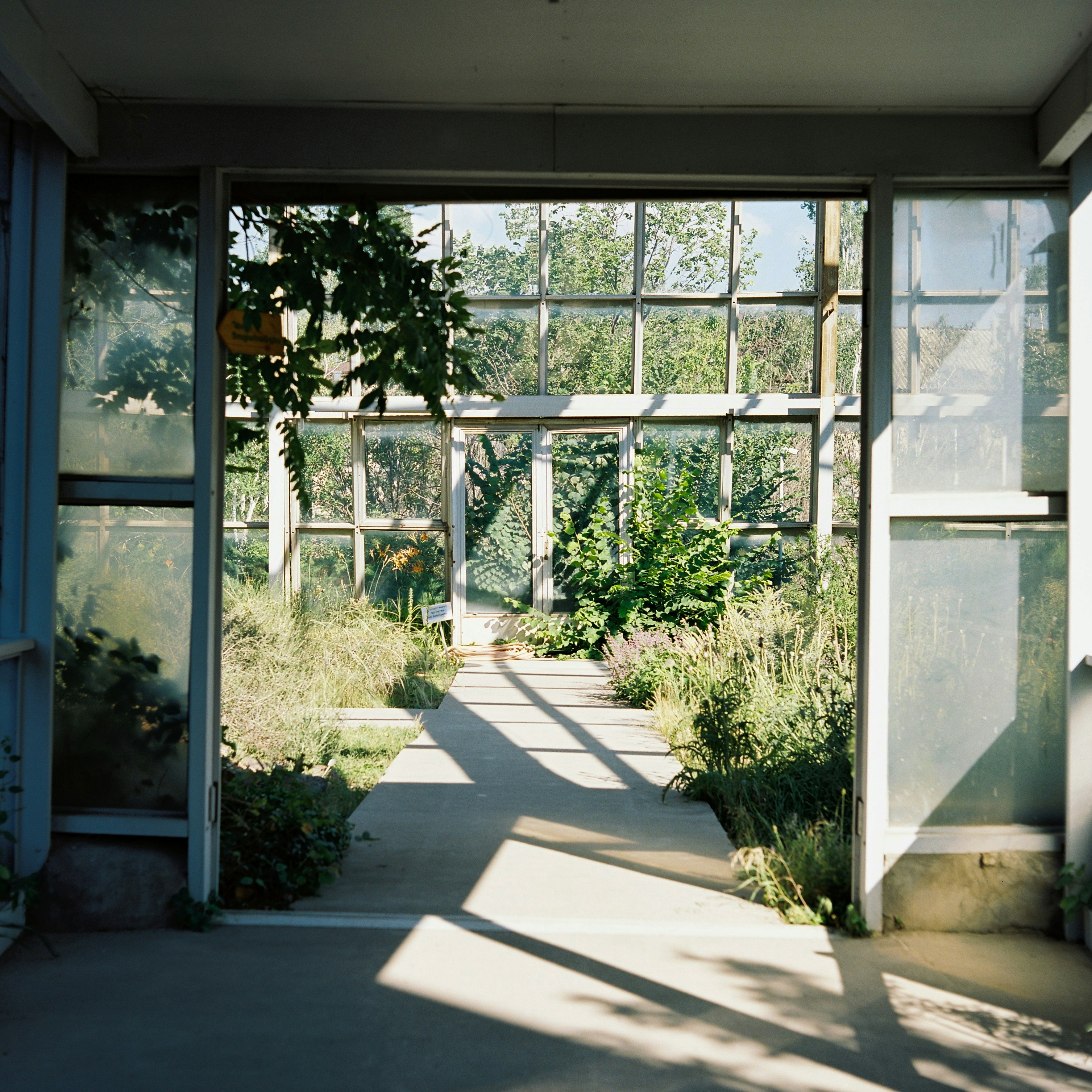 A very long narrow walkway in a big building photo – Free Botanical ...