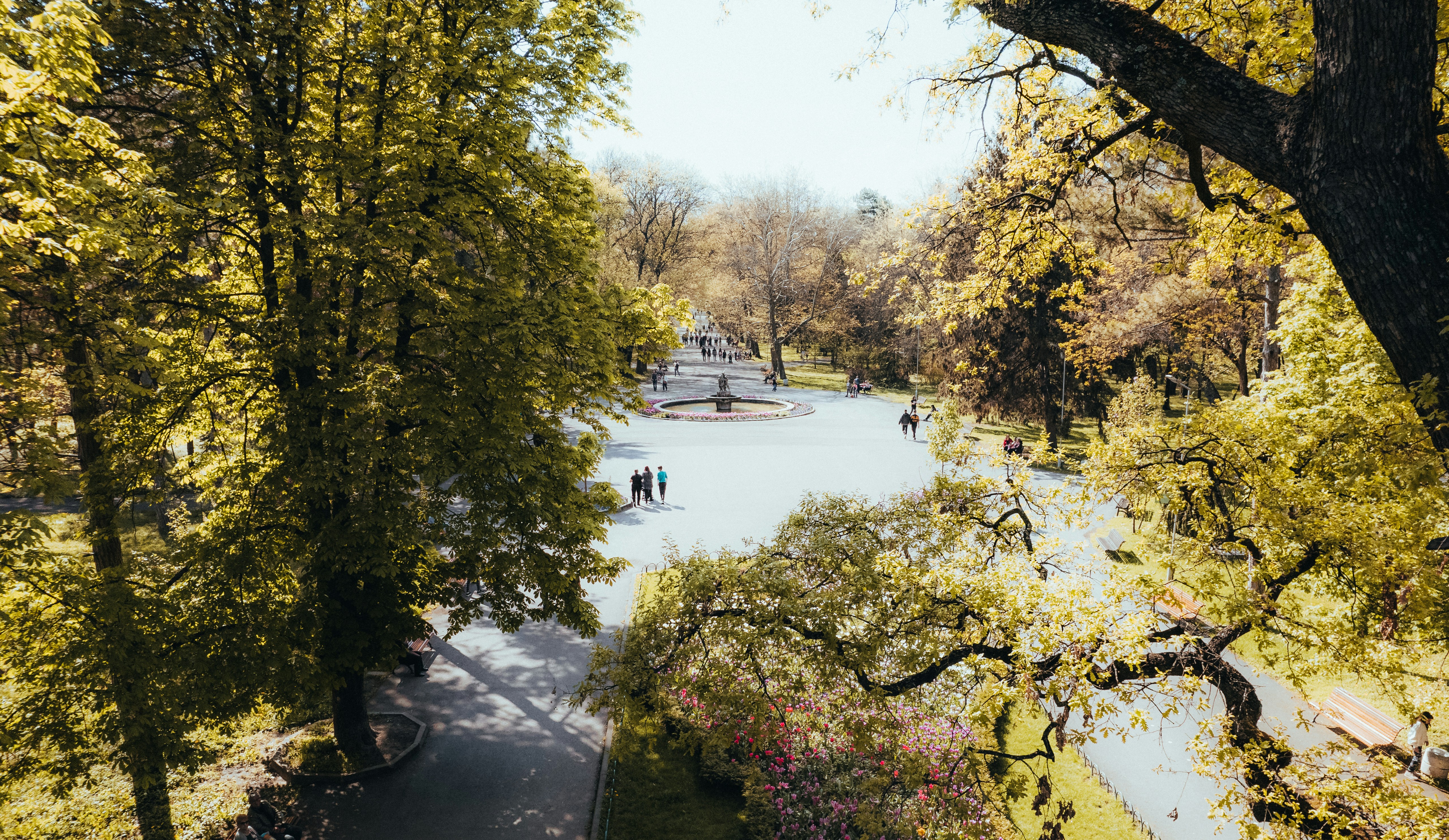 Photo by Venelin Stoyanov with DJI Air 2S