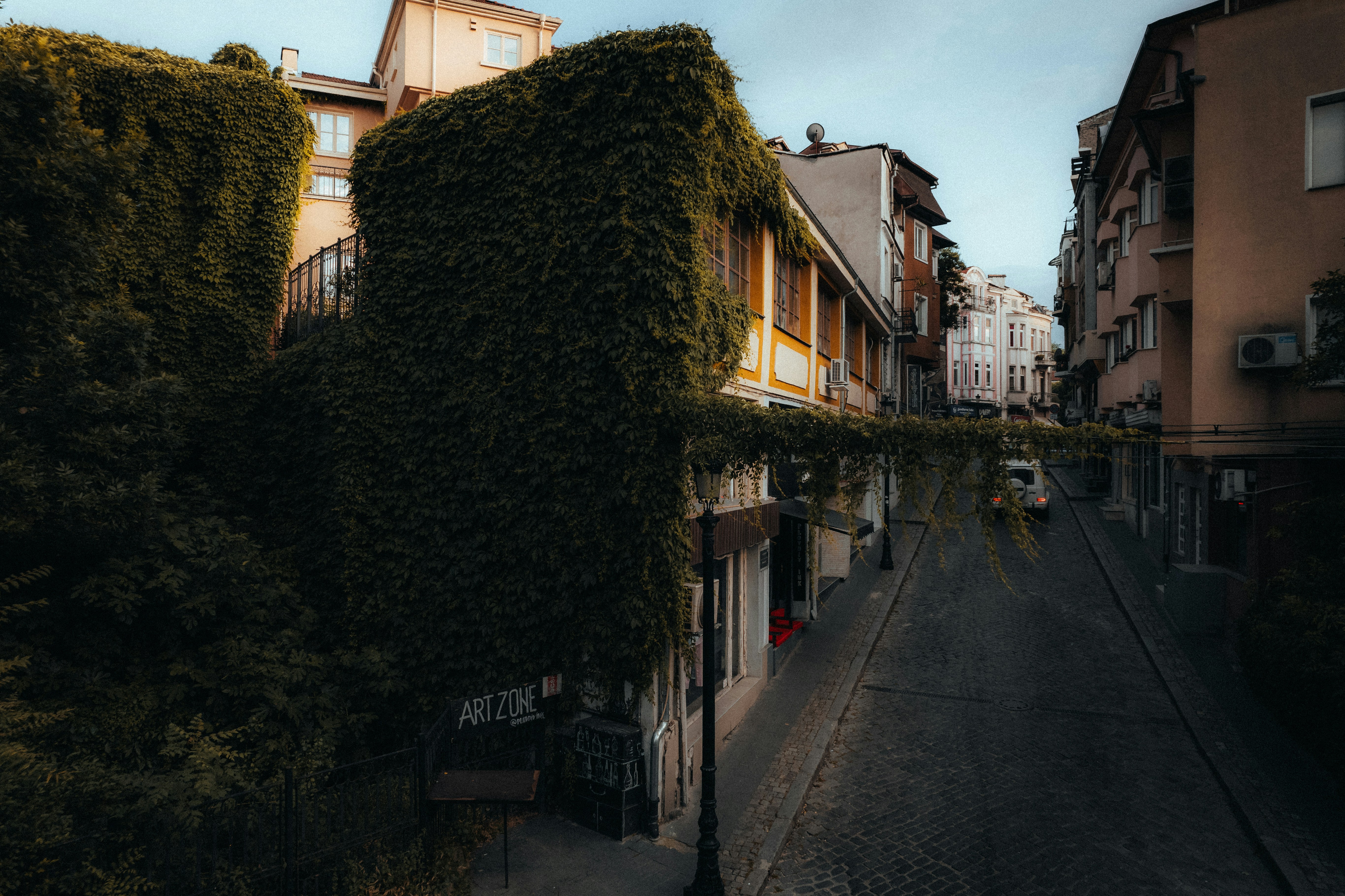 Ivy-Framed Cobblestone Corridor Toward Distant Rooftops