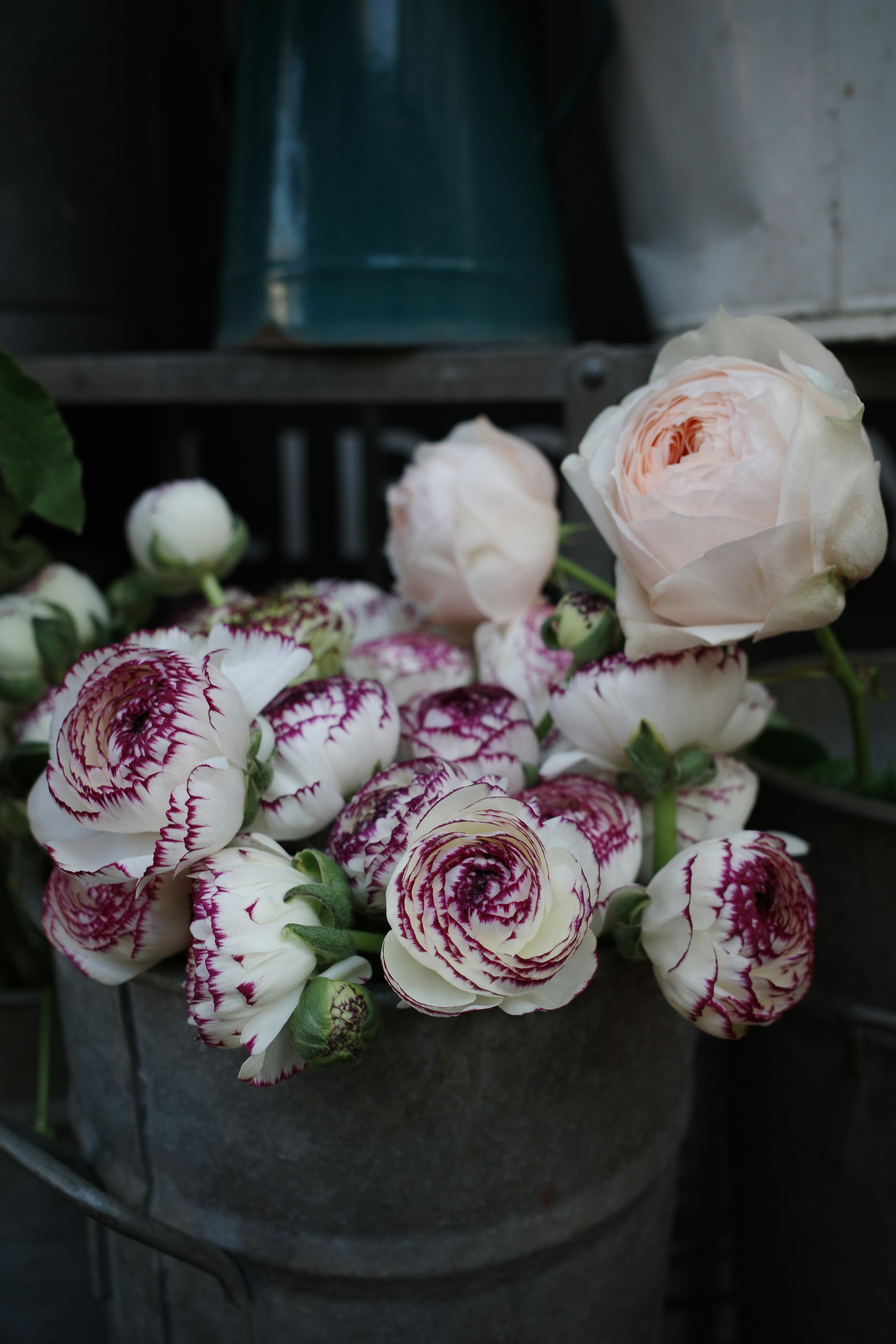 Petals in Focus: A Quiet Bouquet with Velvety Details