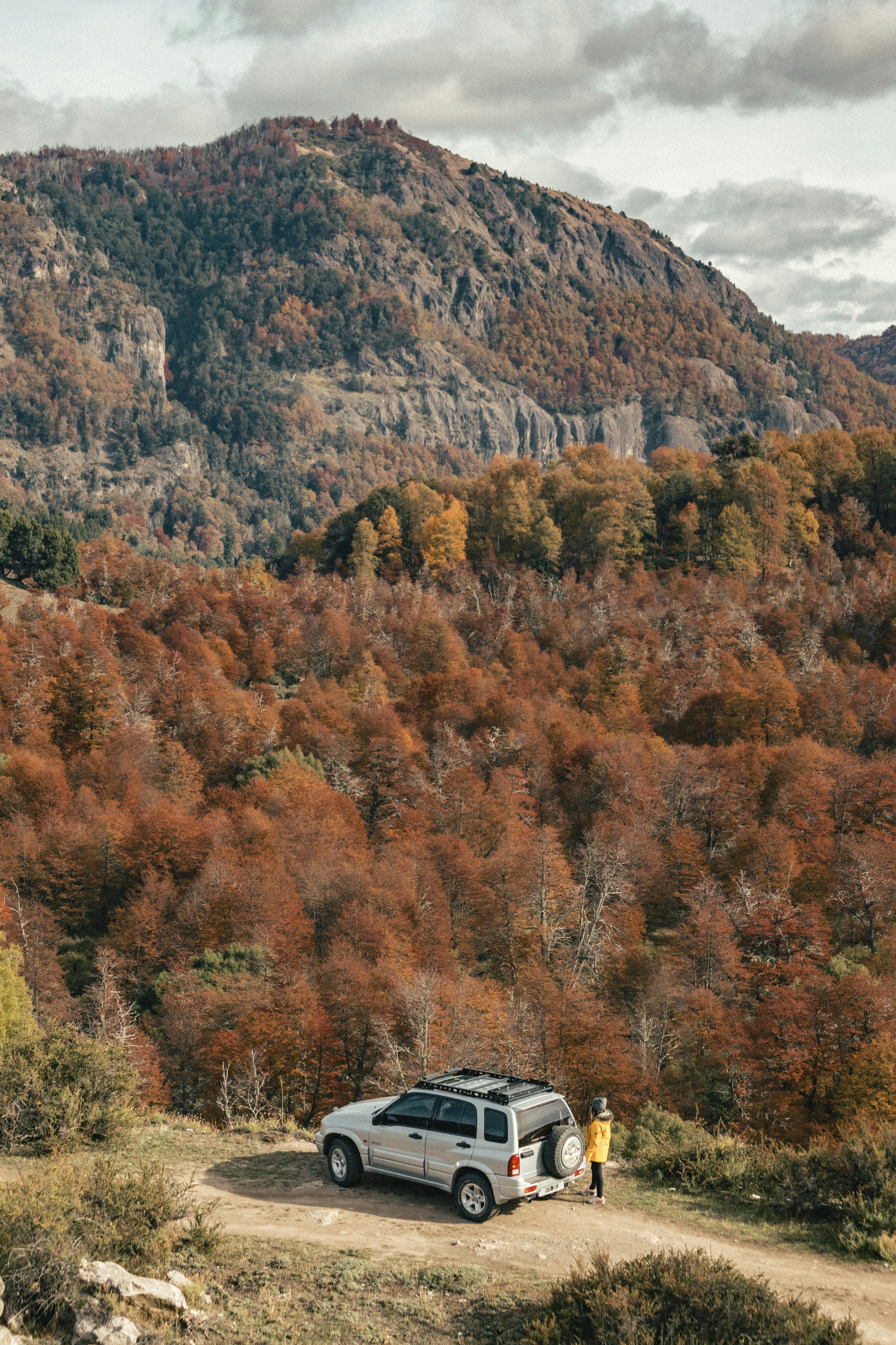 Autumn Ridge: A lone SUV Pauses at the Forested Trail