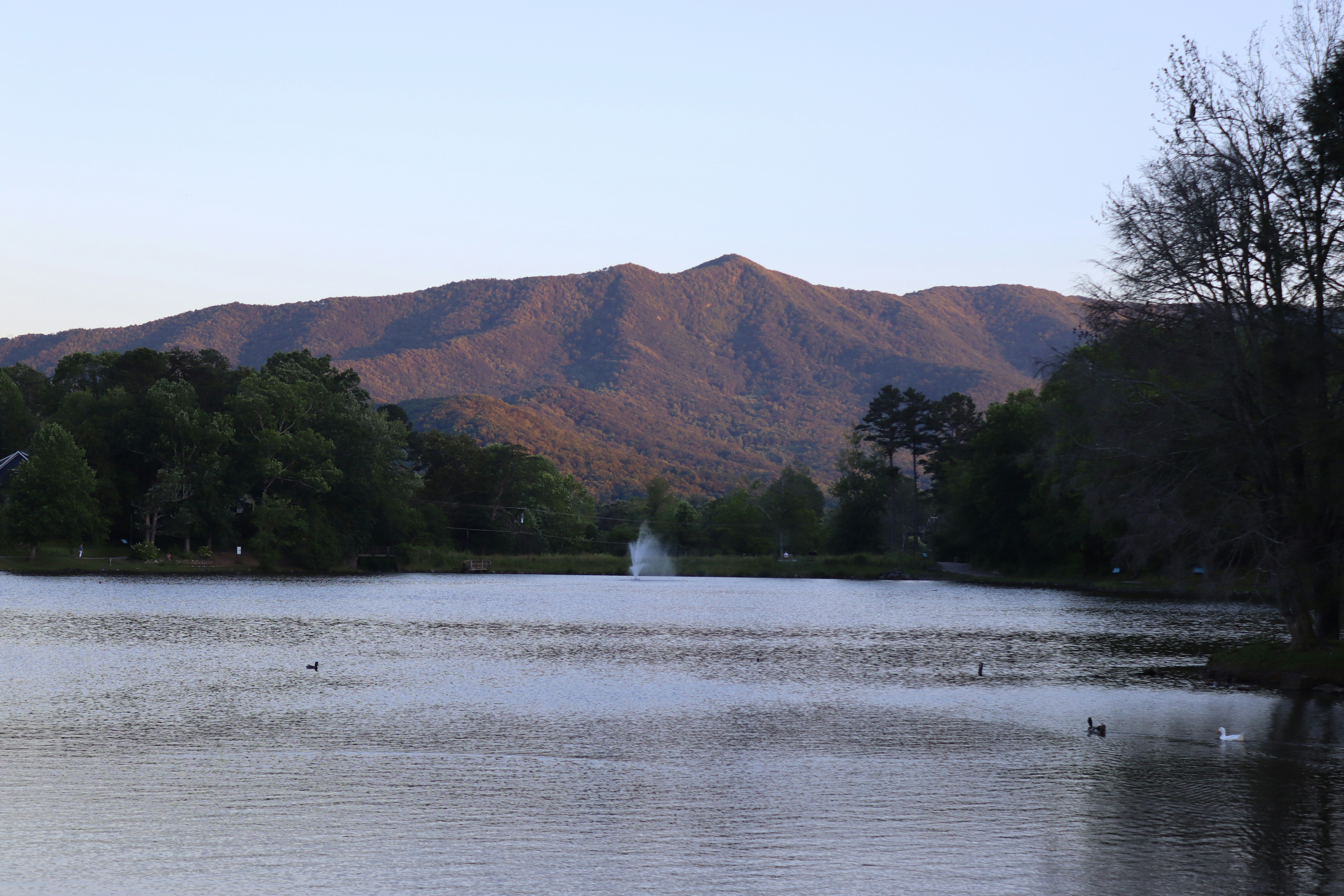 Calm lake reflecting distant mountains at dusk, with gentle ripples and a few ducks floating. The scene embodies peaceful natural beauty.