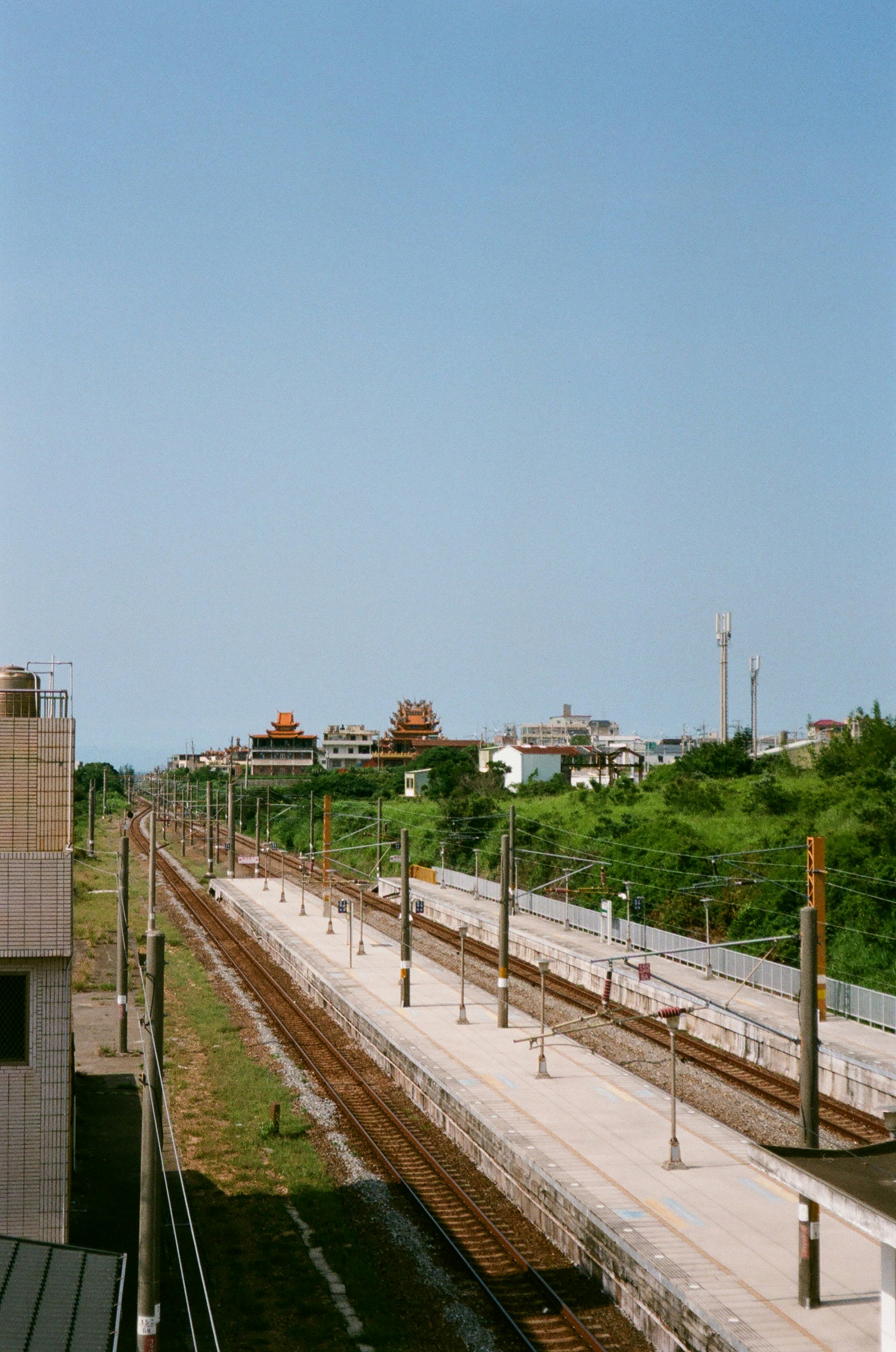 Photo by Faye Yu with Contax TVS