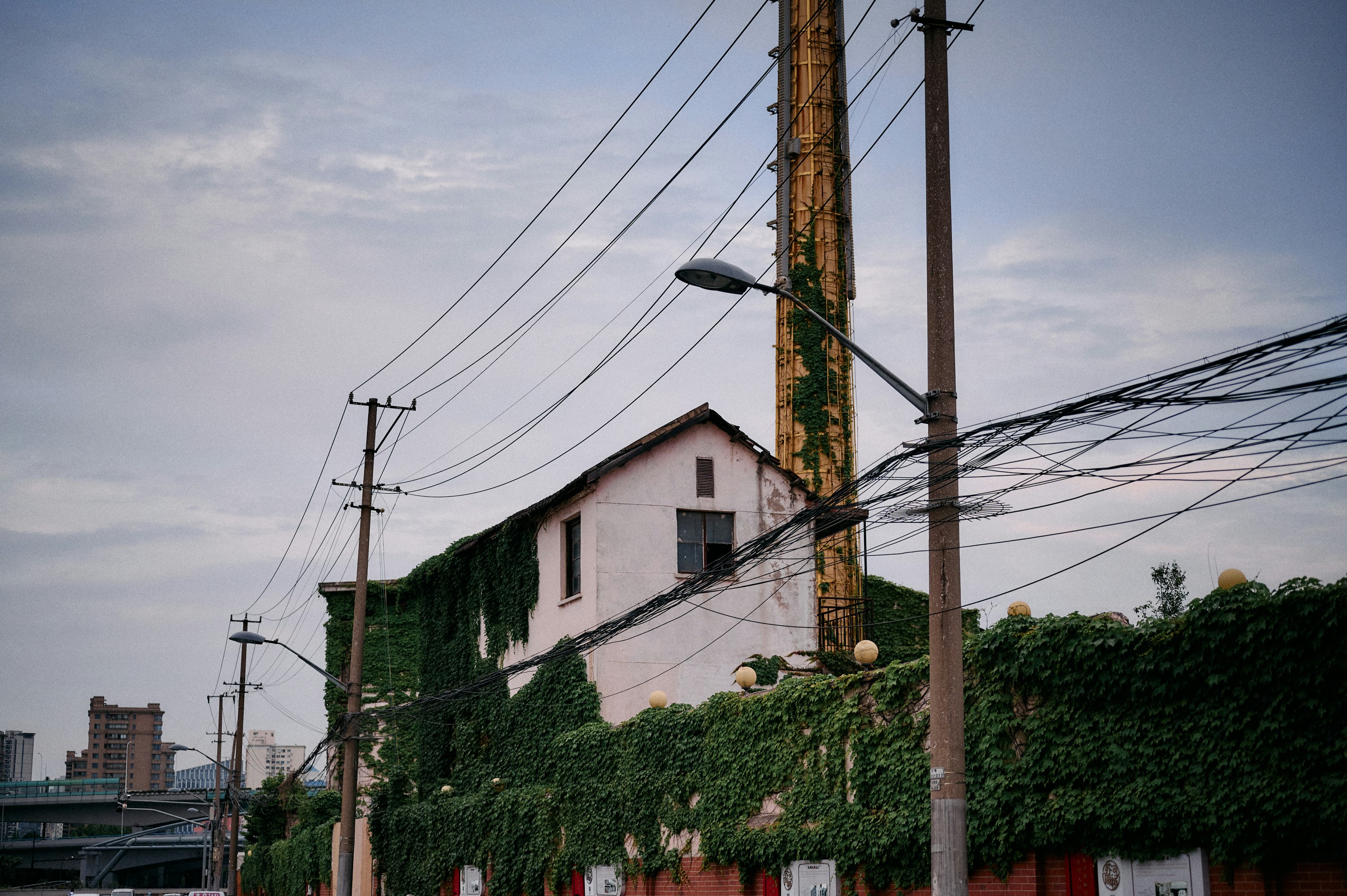A building with vines growing on the side of it photo – Free Utility ...