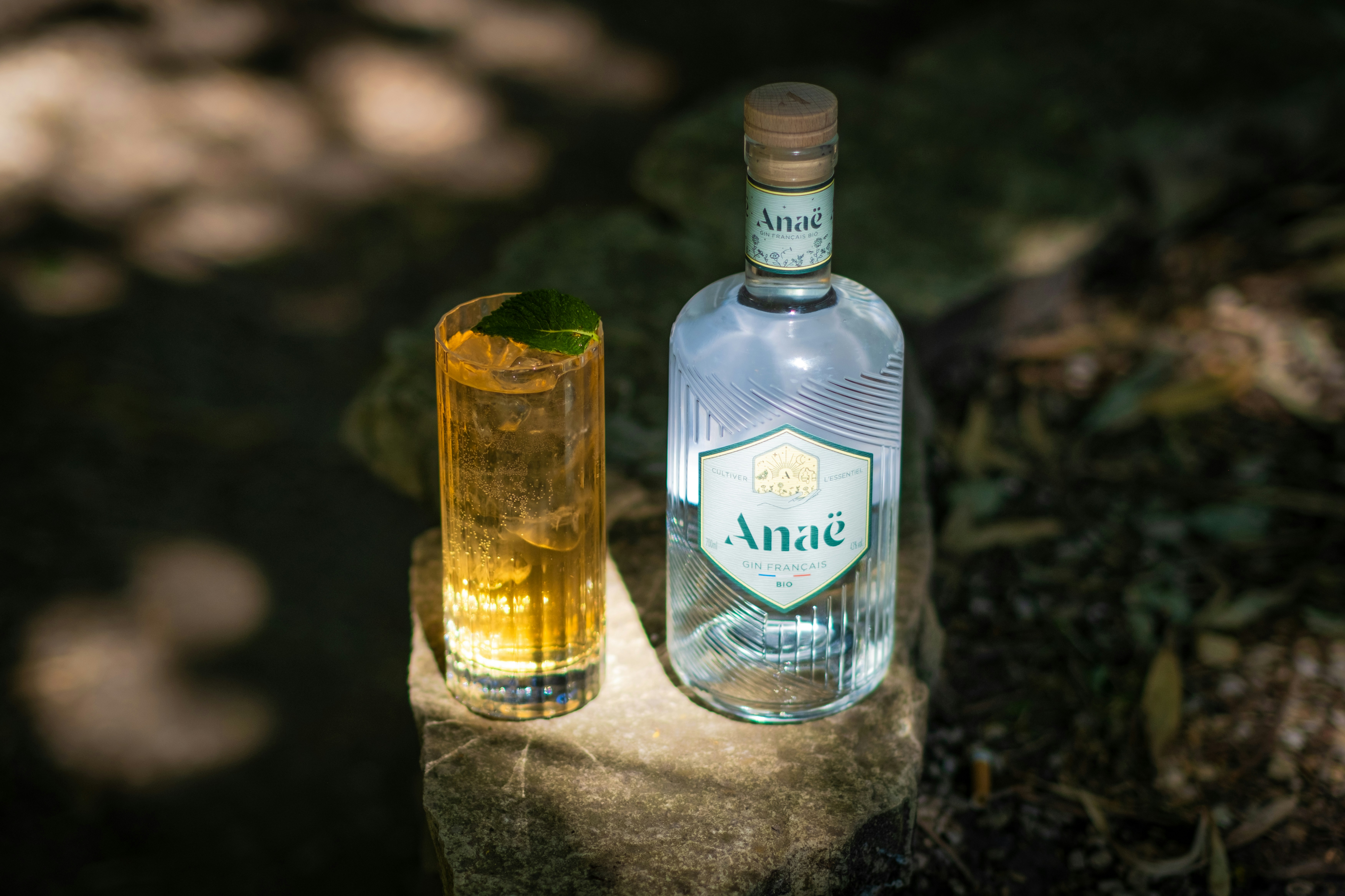 Sunlit Moss-Stone Still Life: Amber Glass and Aquamarine Bottle