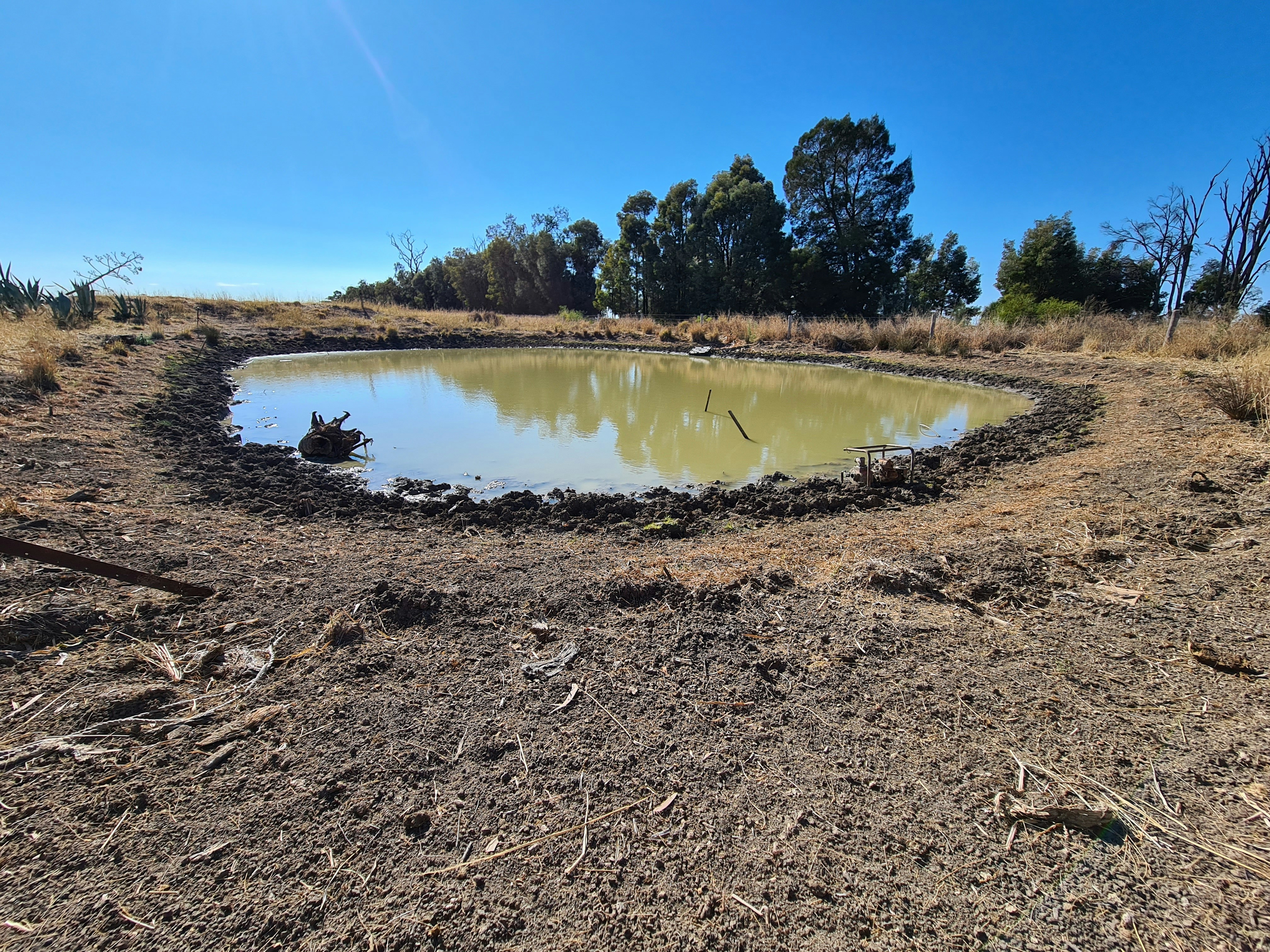 A pond in the middle of a dry grass field photo – Free Nature Image on ...