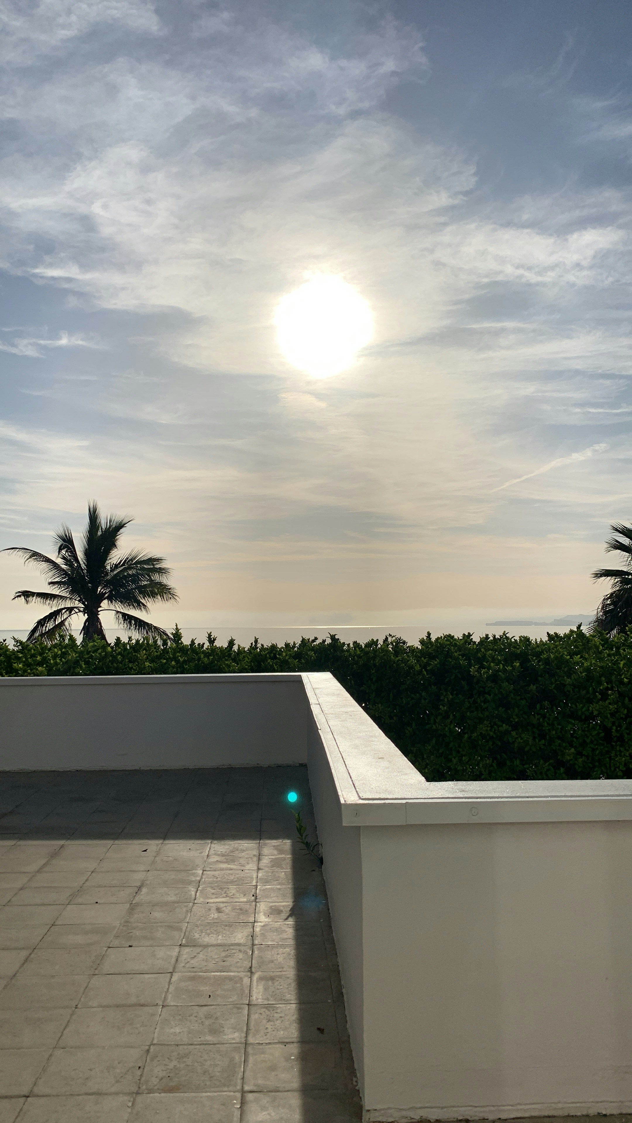 Photo by Daisy with Apple iPhone XR