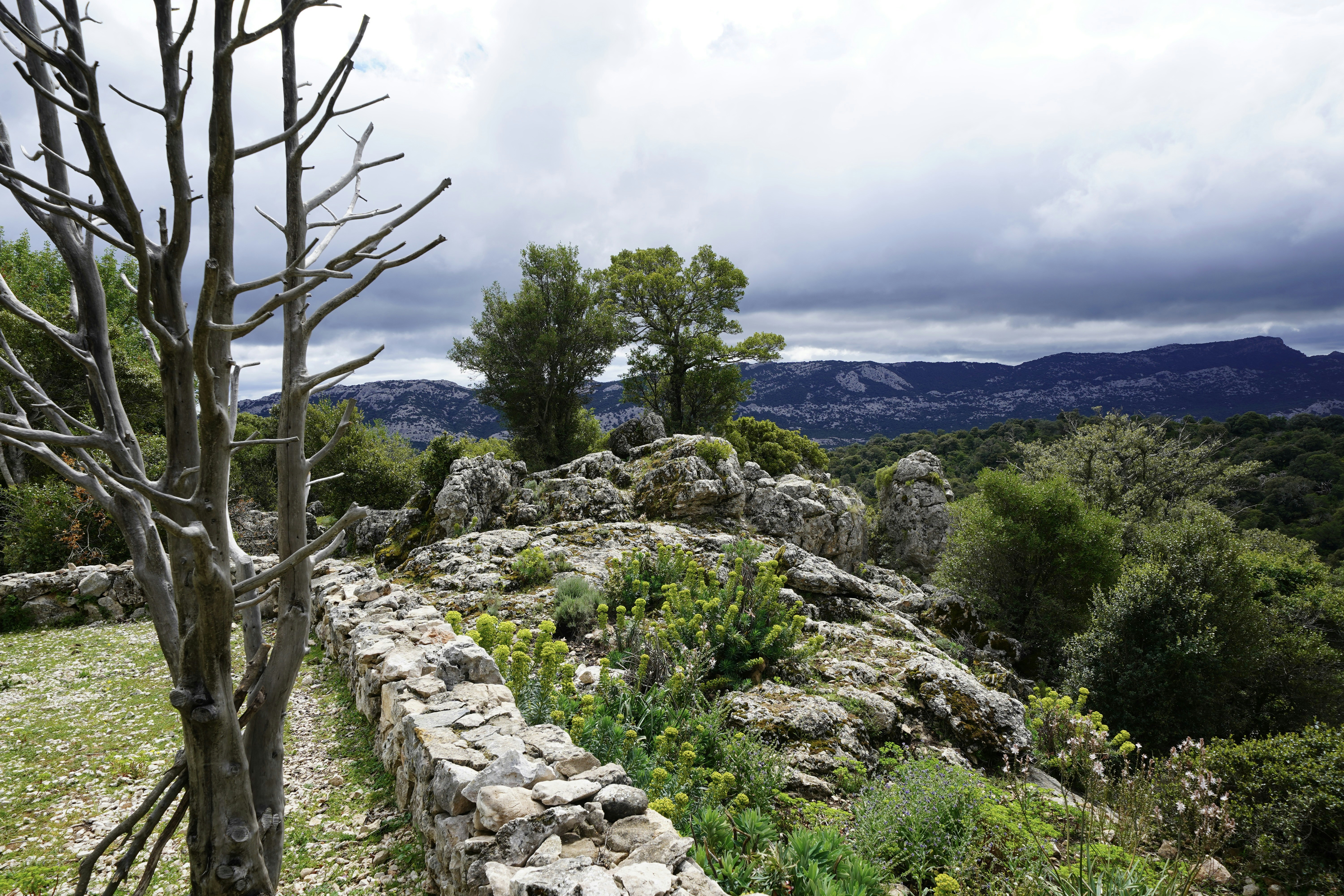 Un mur de pierre au milieu d’un champ photo – Photo La nature Gratuite ...