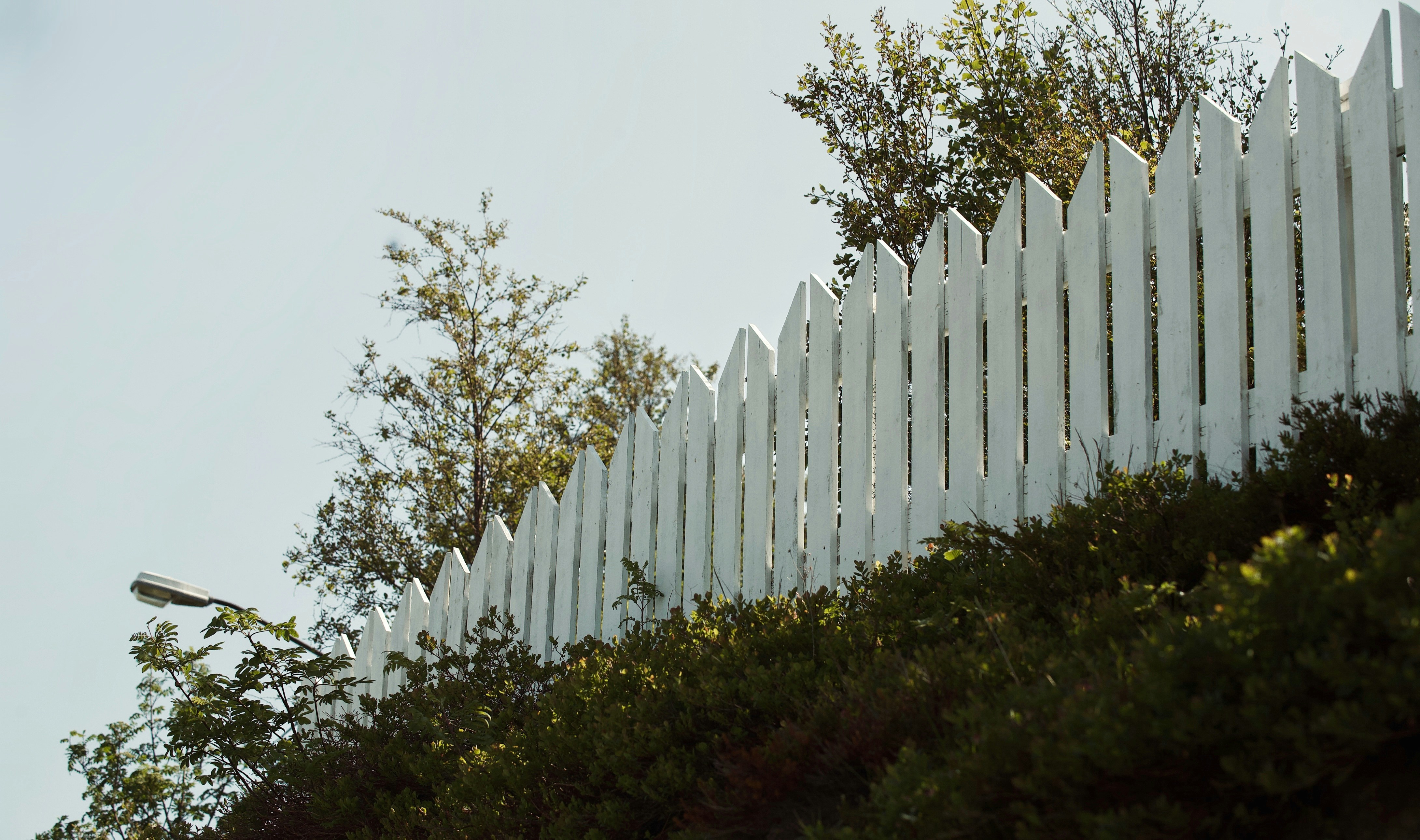 A white picket fence on a hill with trees in the background photo ...