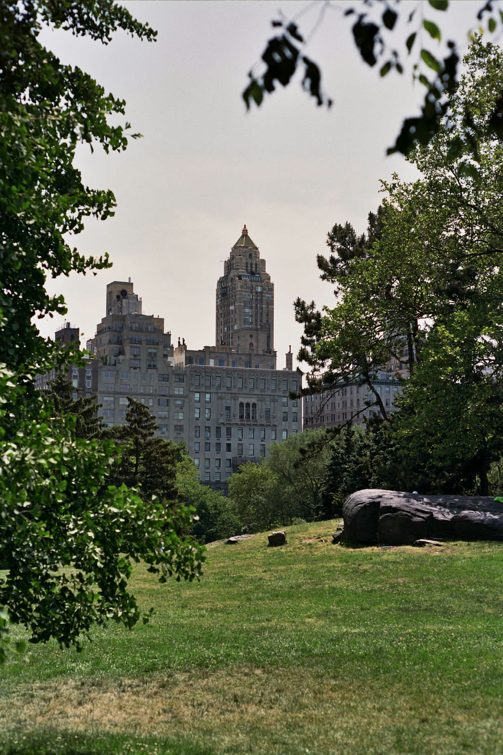 A view of a city from a park photo – Free New york city Image on Unsplash