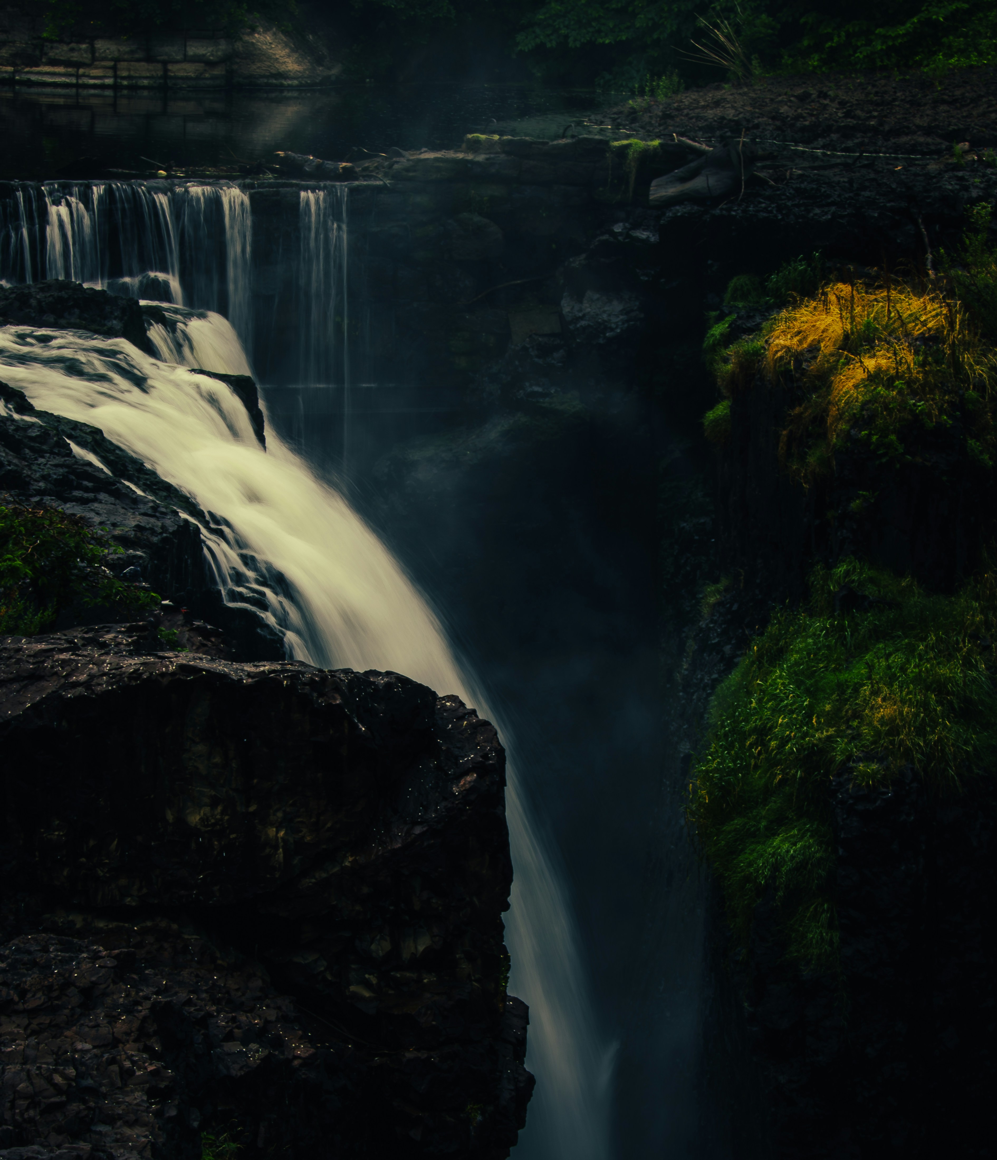 Silence on the Edge: A Cascade Veiled in Mist and Moss
