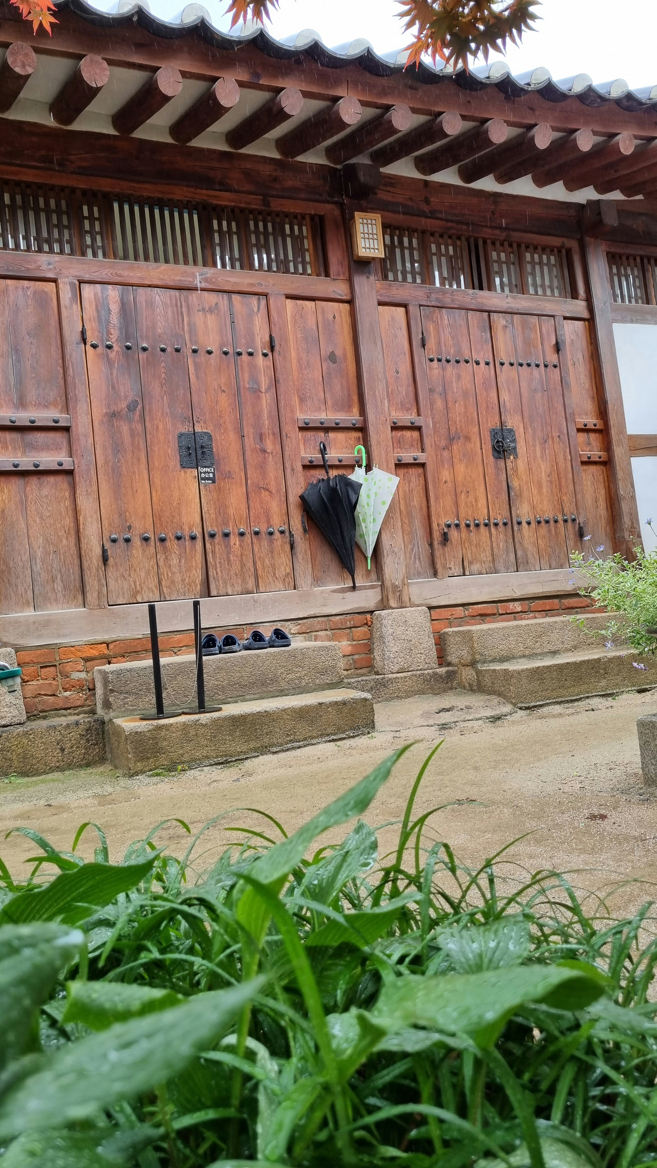 Umbrella on a Wooden Gate: A Quiet Temple Entrance