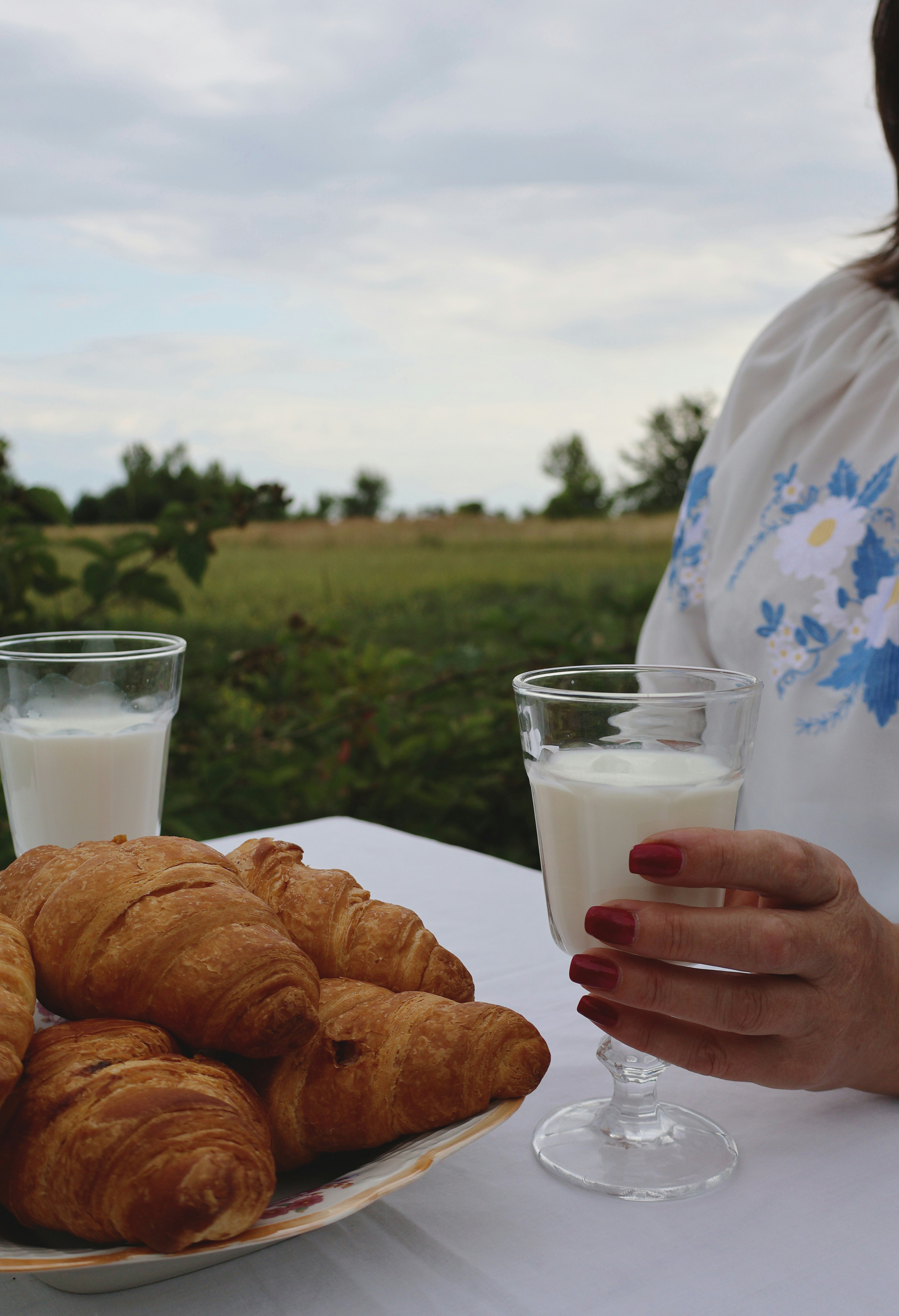 Morning Spread at the Table: Croissants, Milk, and a Quiet Field