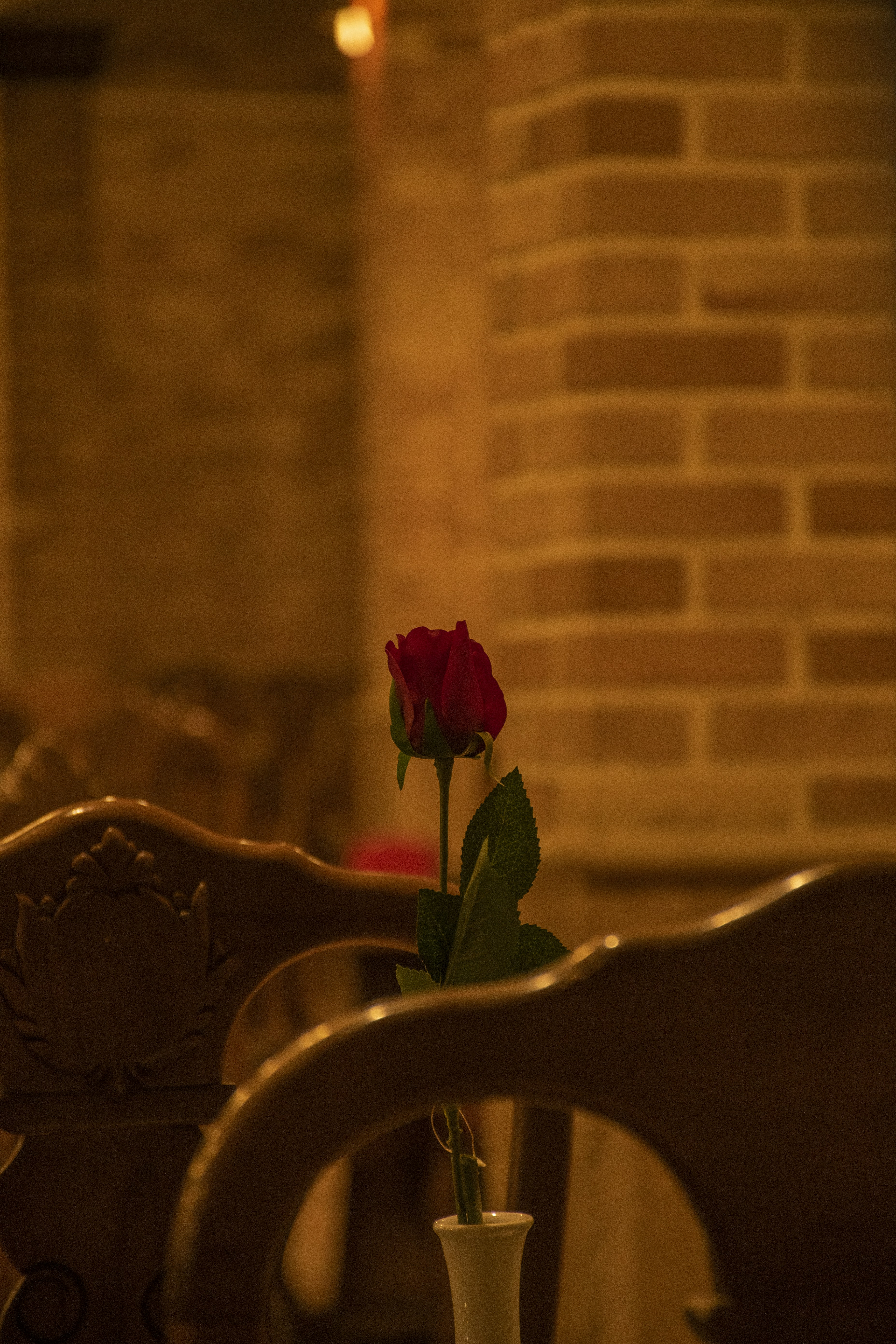 Single Red Rose Amid Amber Haze in a Dimly Lit Atrium