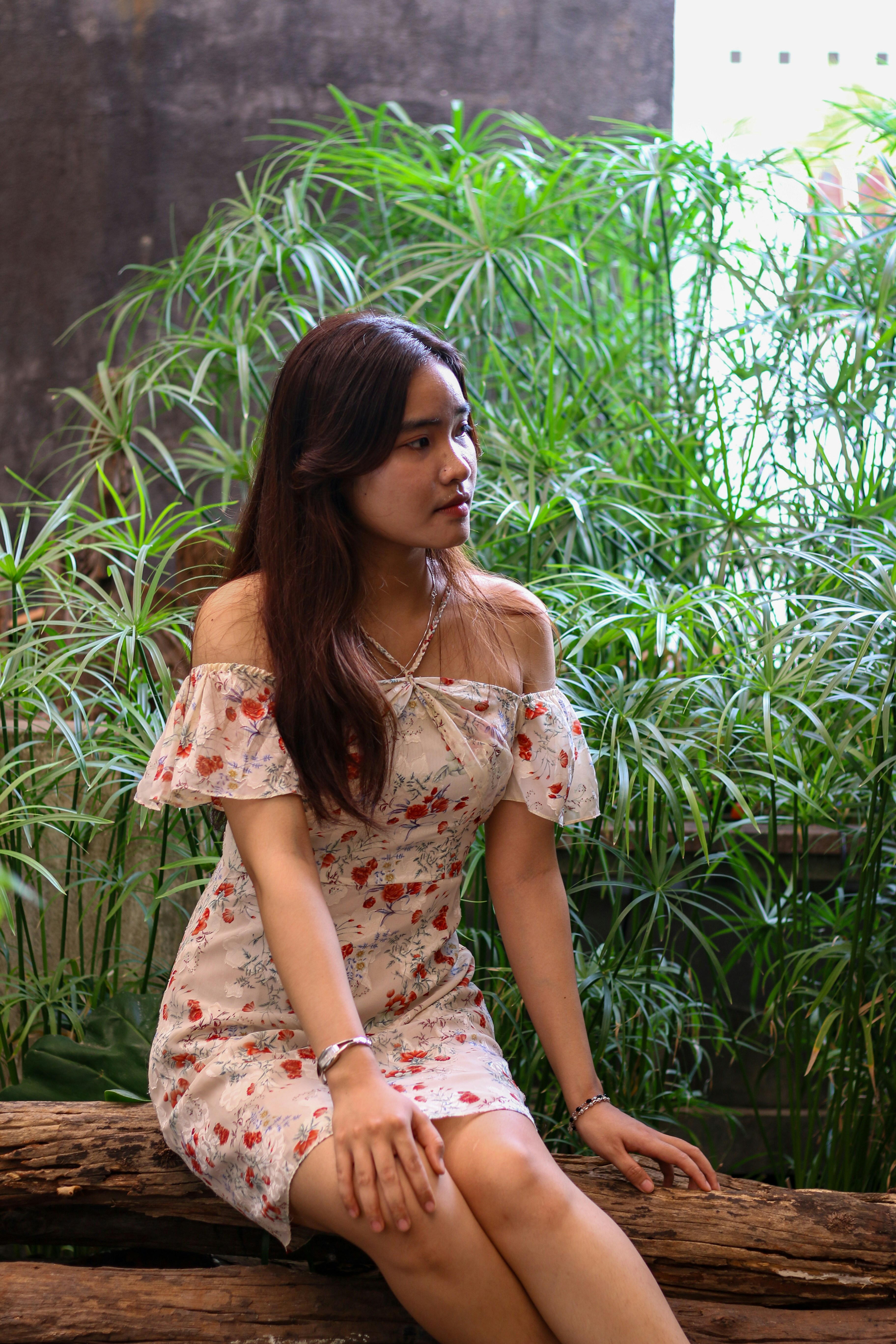 Verdant Quietude: A Portrait on the Weathered Log Bench
