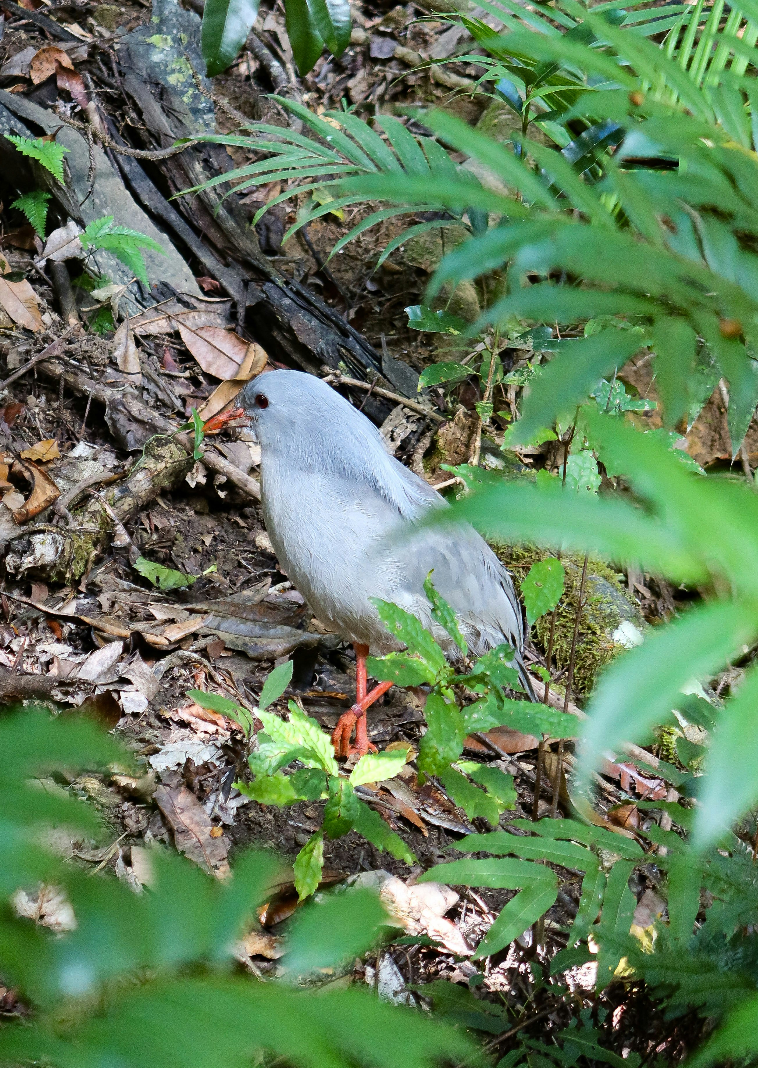 Photo by Eddy Banare with Canon PowerShot G7 X Mark III