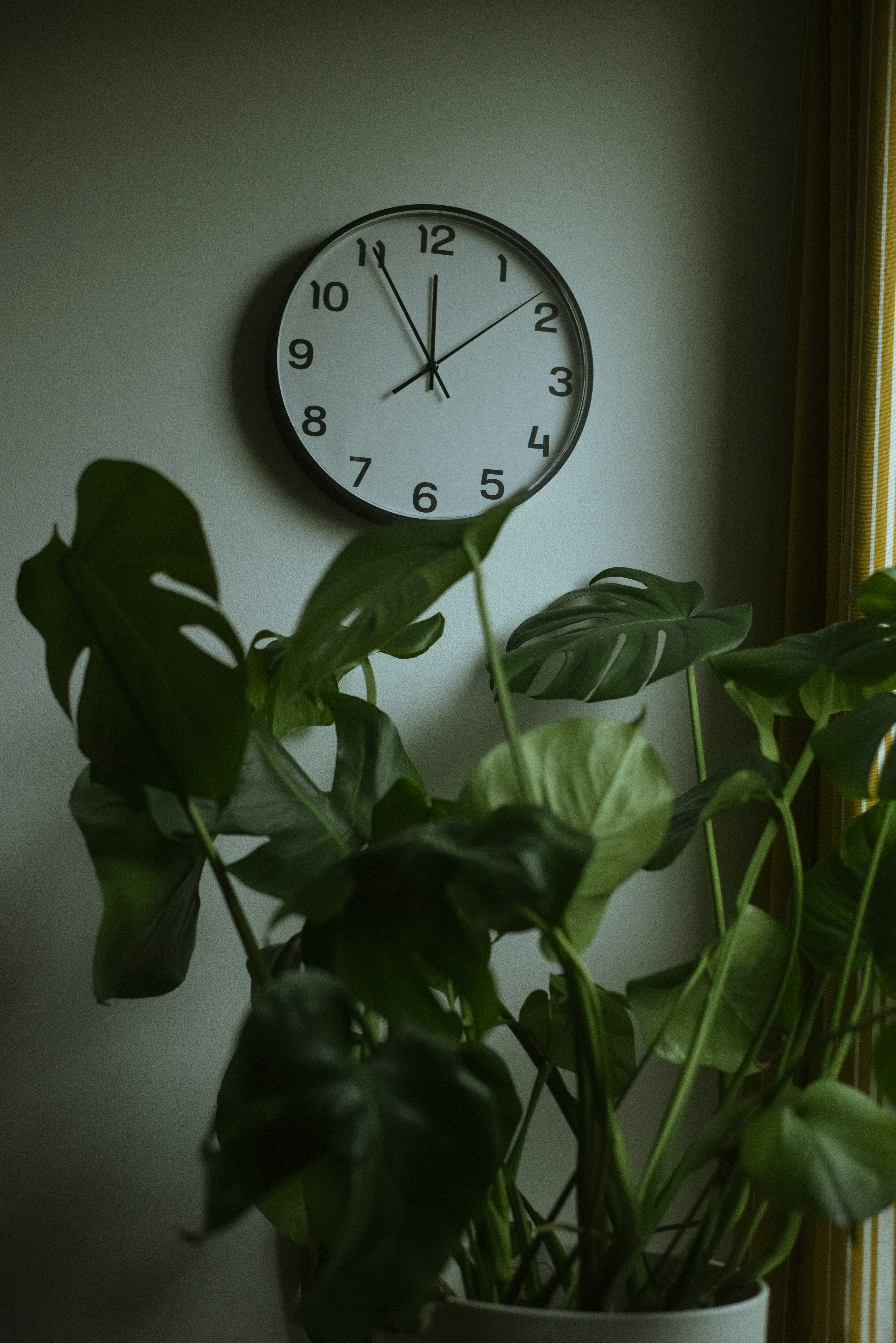 Photo by Tolu Akinyemi 🇳🇬 with Nikon D600