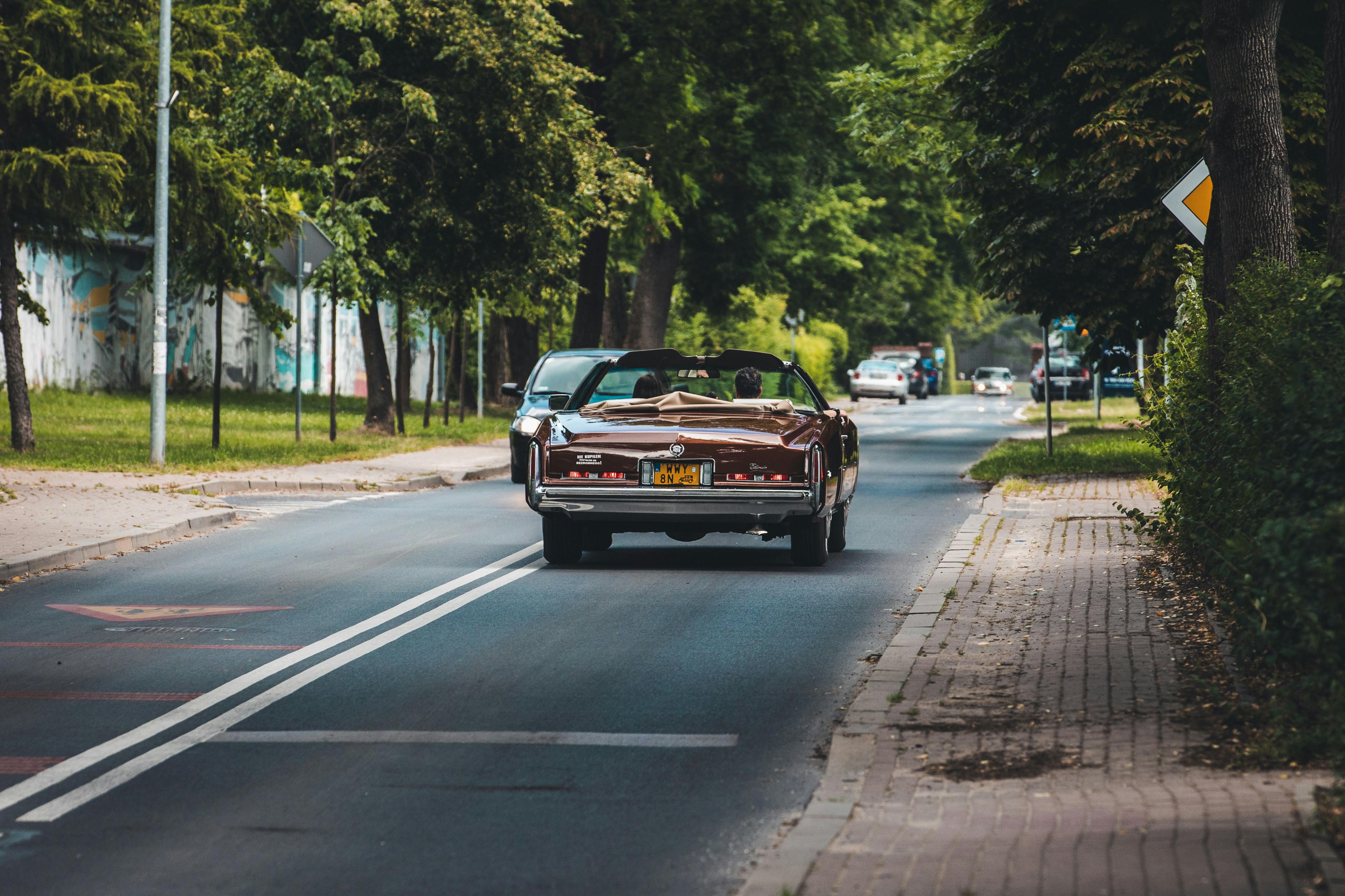 Vintage Cruise on a Tree-Lined Avenue