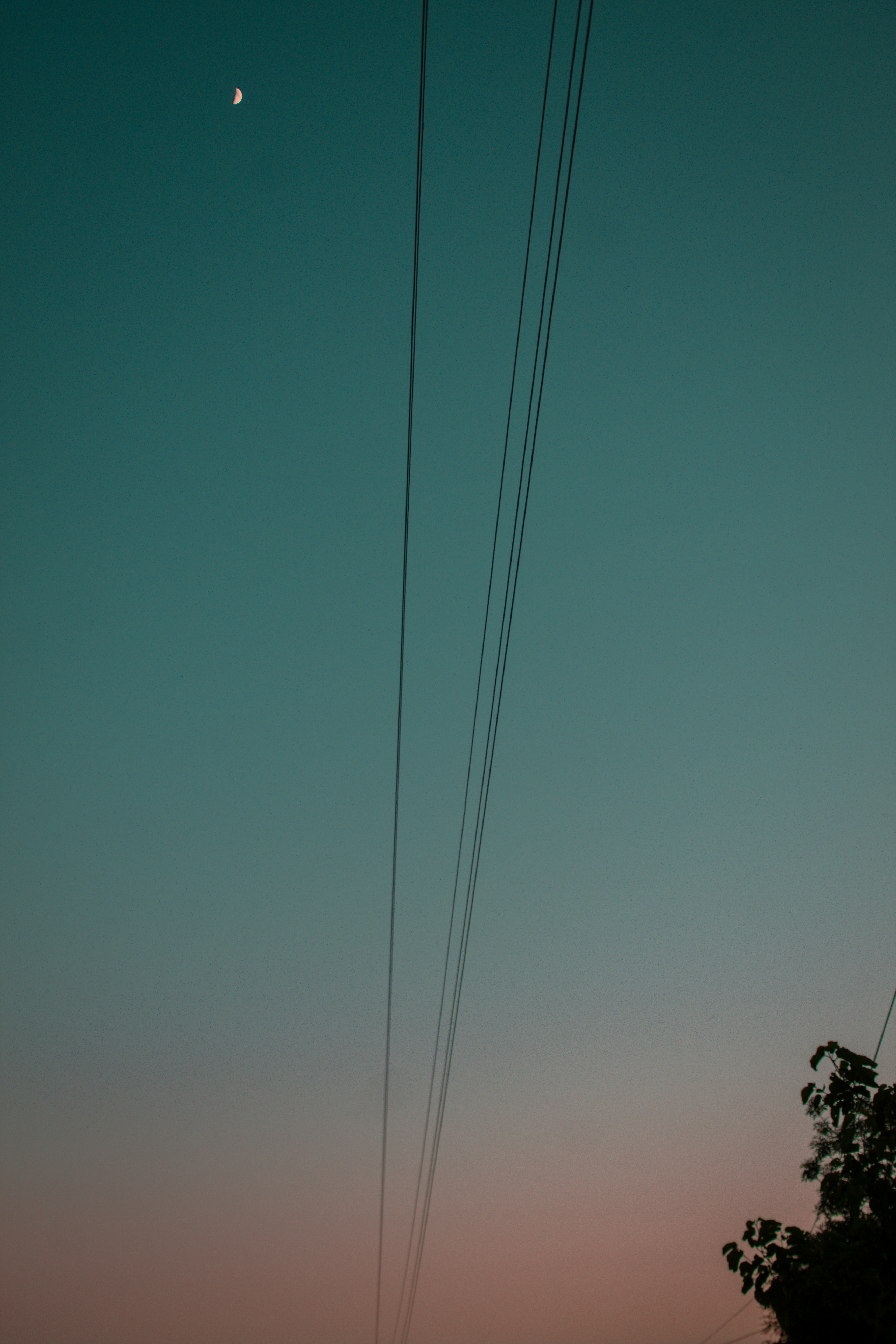 Una luna llena se ve en el cielo por encima de las líneas eléctricas ...