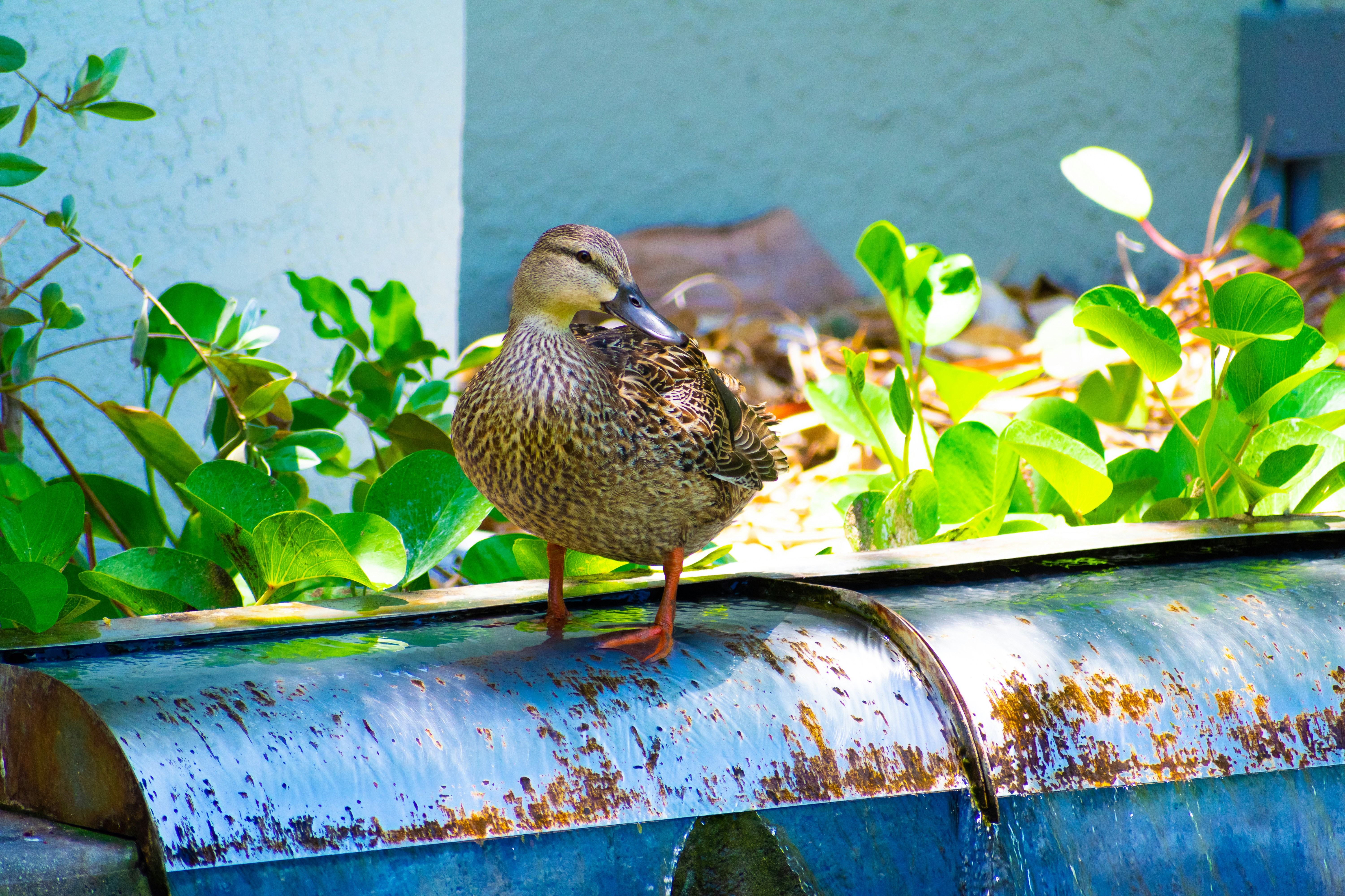 Photo by Robin Teng with Nikon D3400