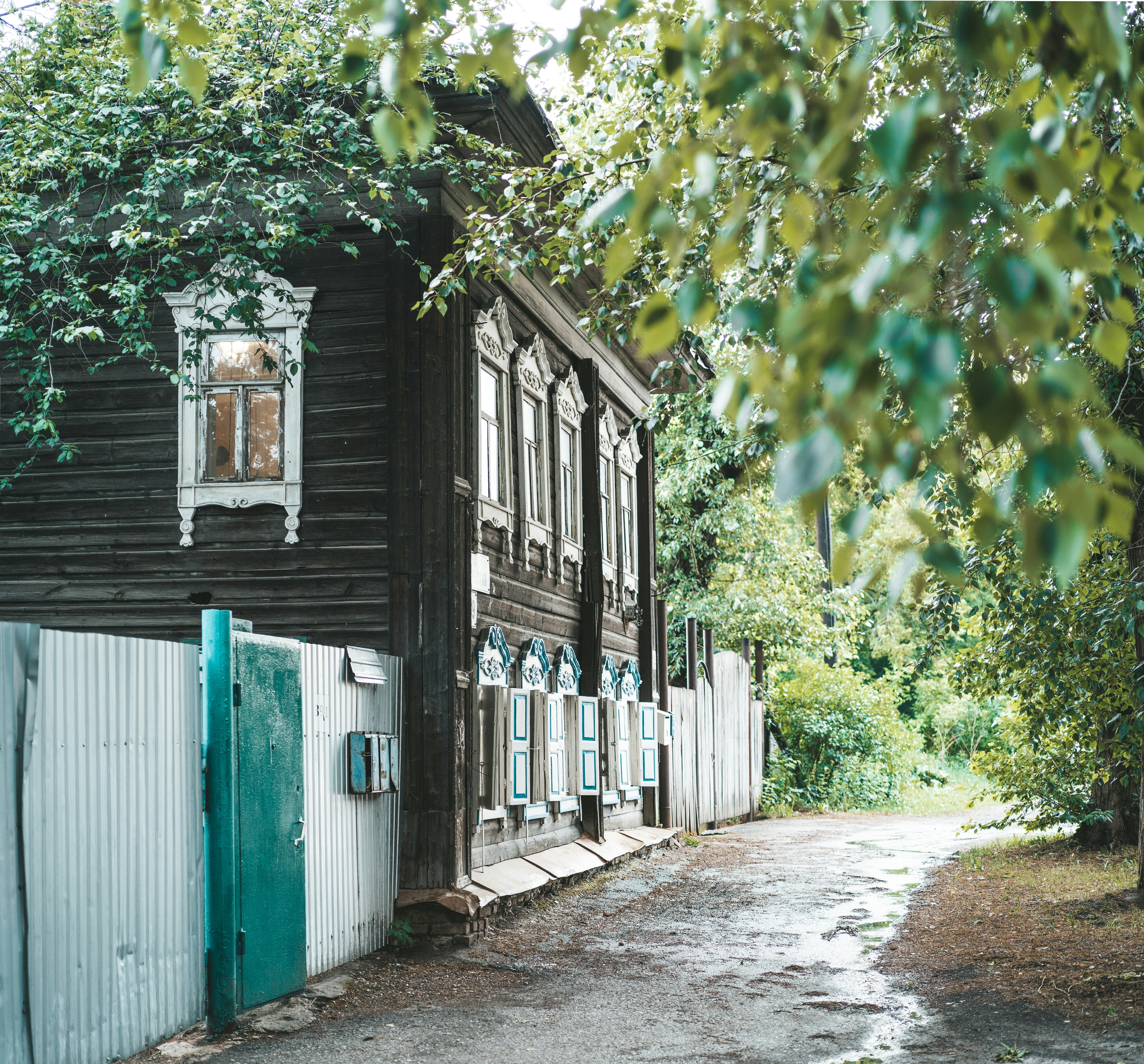 Weathered wooden house beside a turquoise gate along a sun-dappled, tree-lined lane