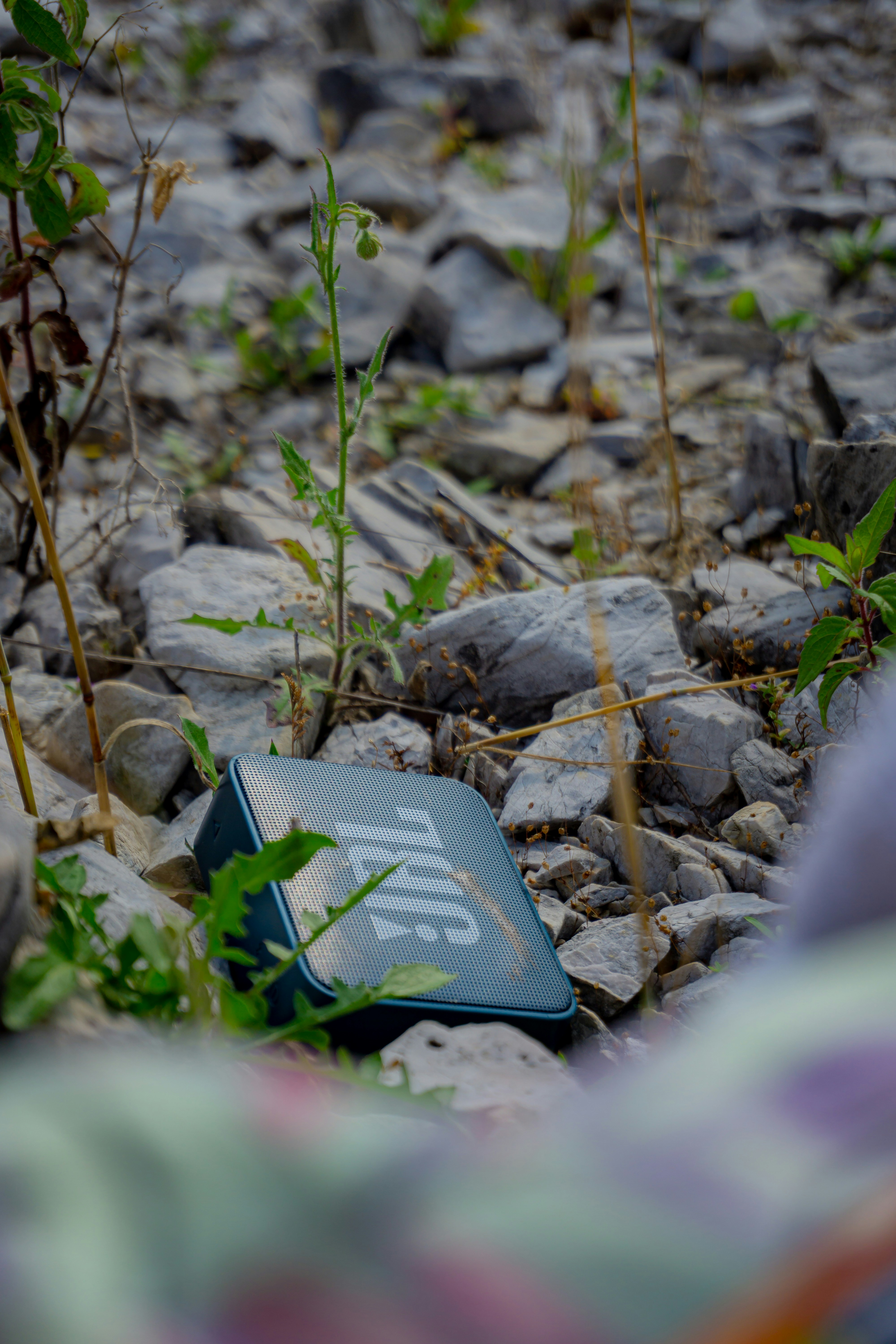 Blue Rugged Speaker Nestled in Gray Gravel and Emergent Greenery