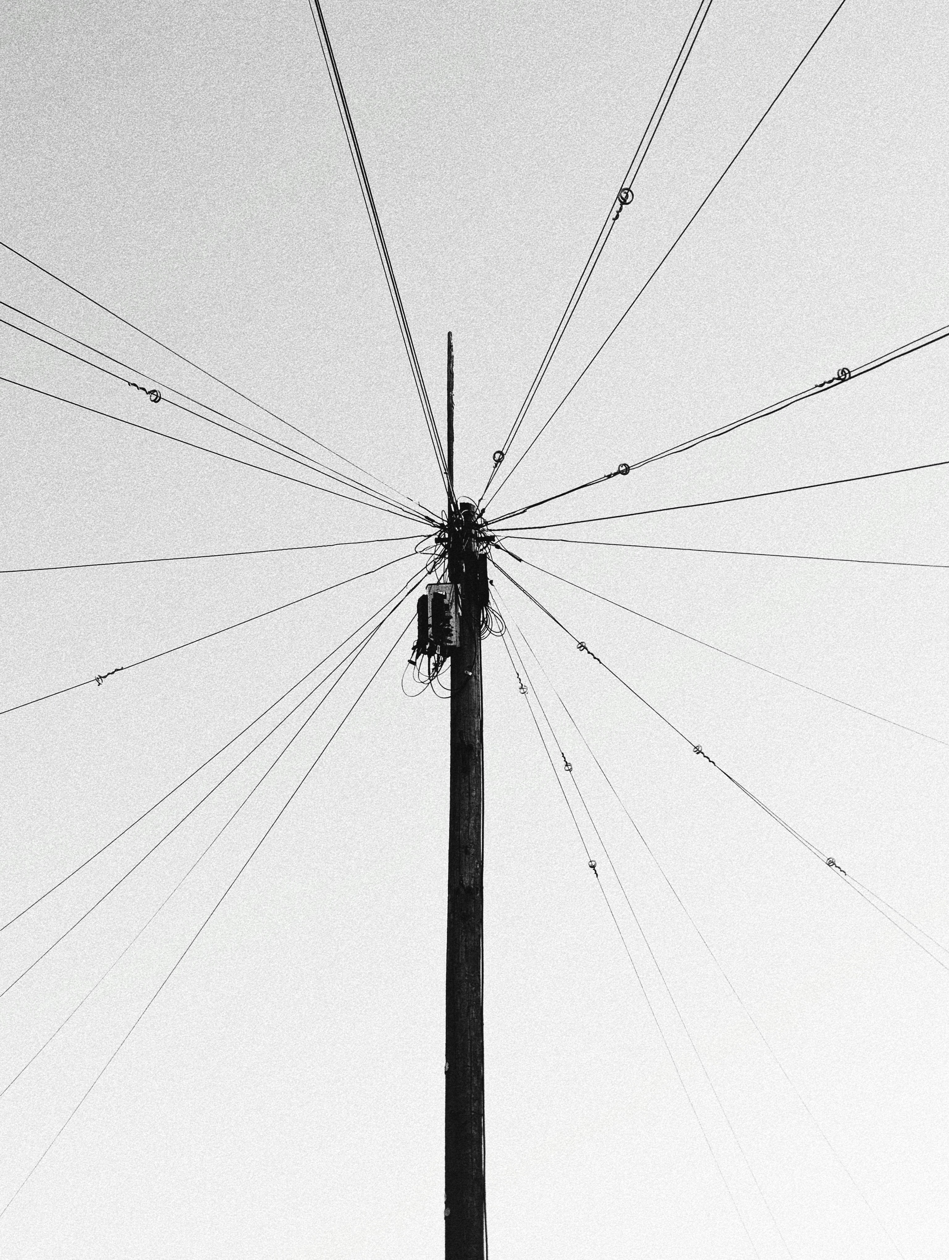 A black and white photo of a telephone pole photo – Free Electric wires ...