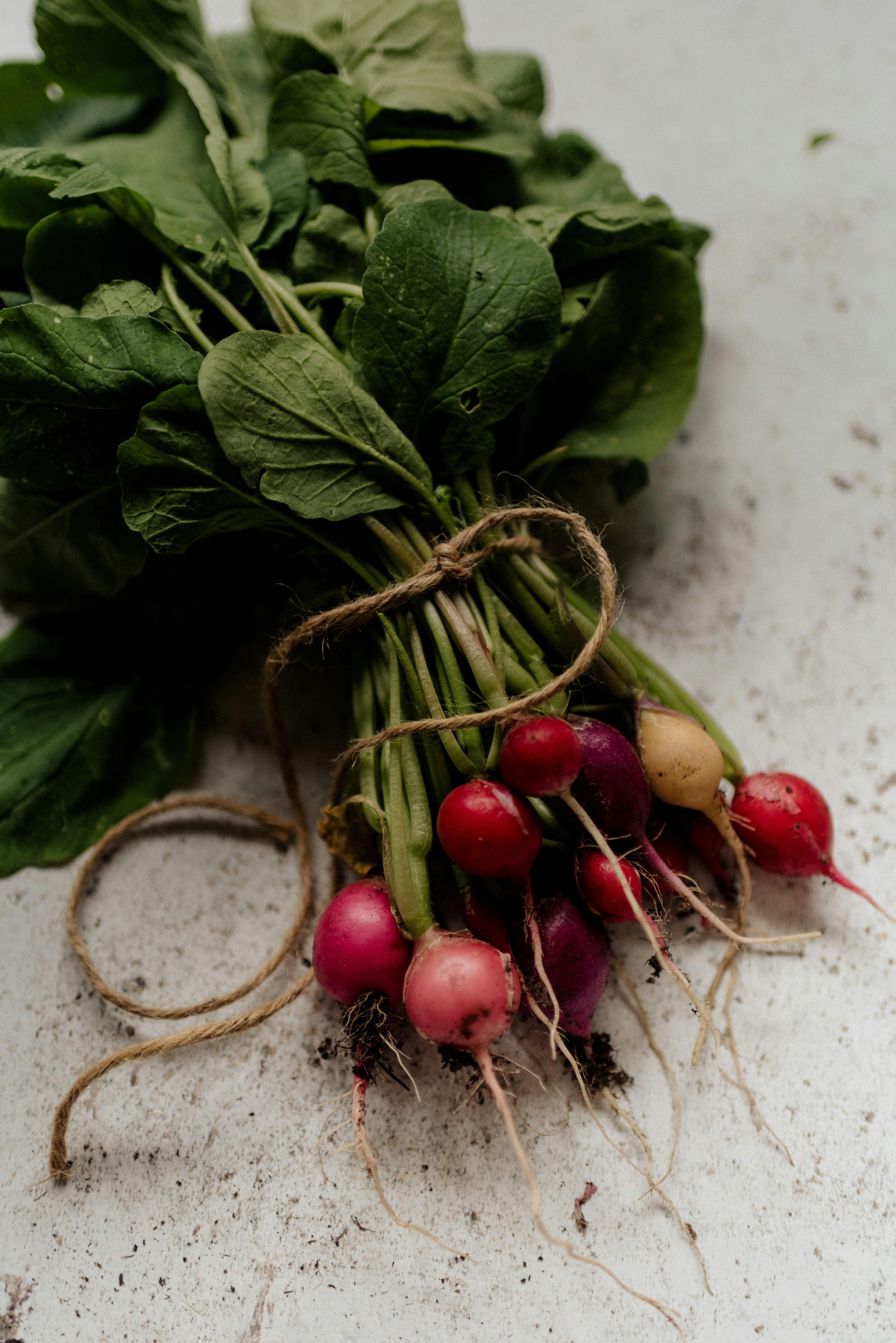 Red, yellow and purple radishes in a bunch tied with twine.