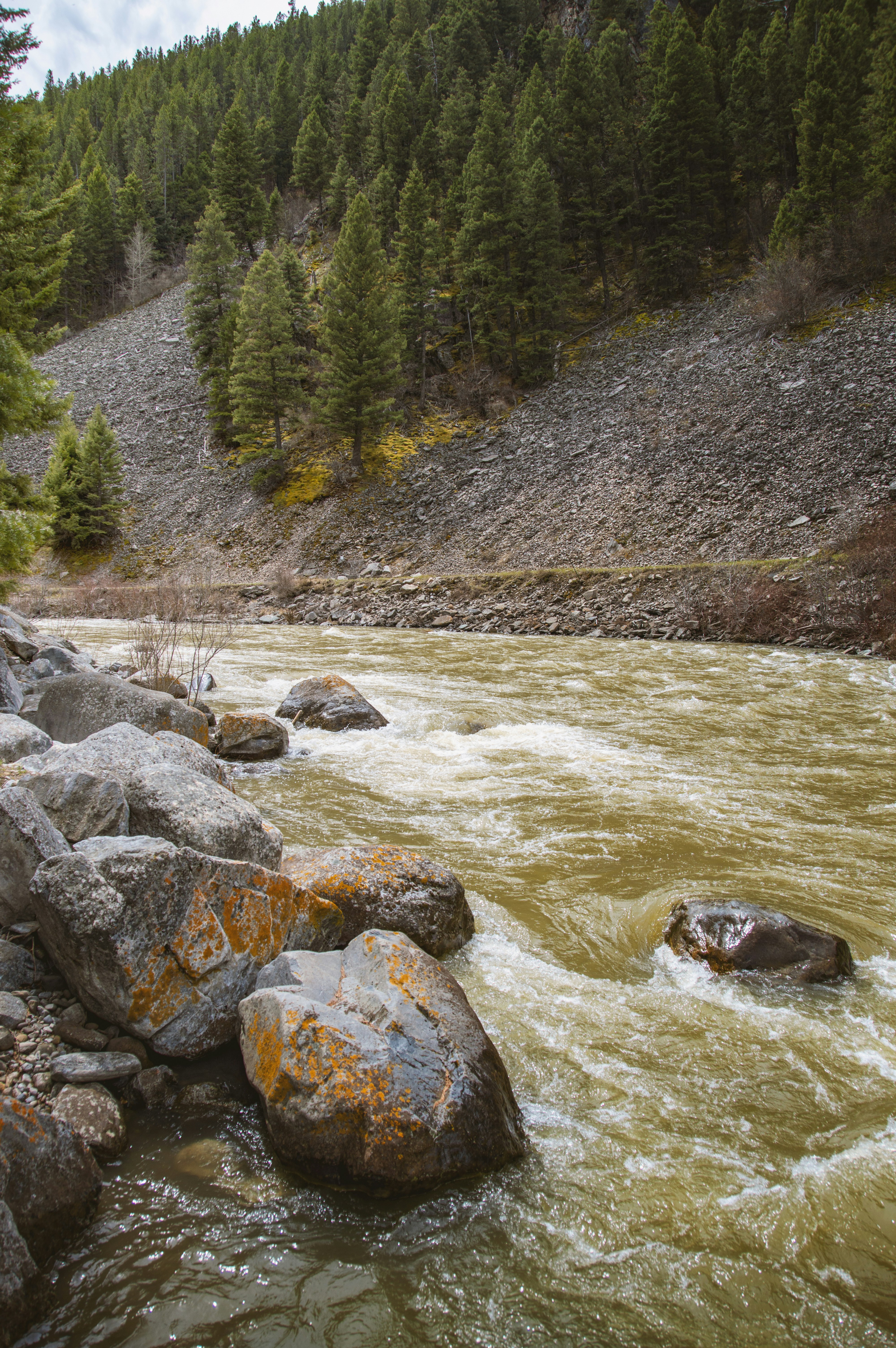 Une rivière avec des rochers et des arbres en arrière-plan photo ...