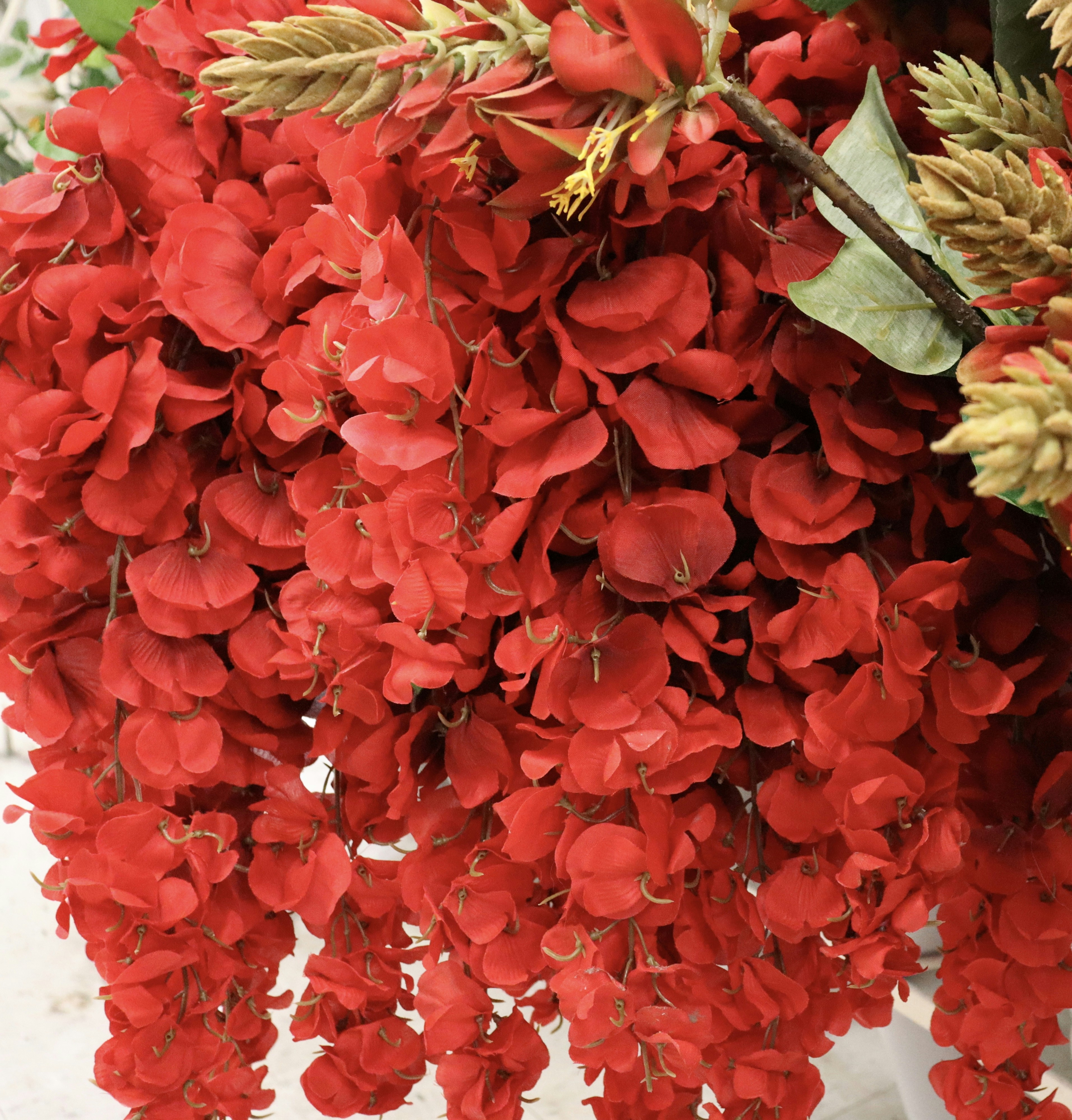 Crimson Cascade: ruby blossoms spilling over a dense floral curtain