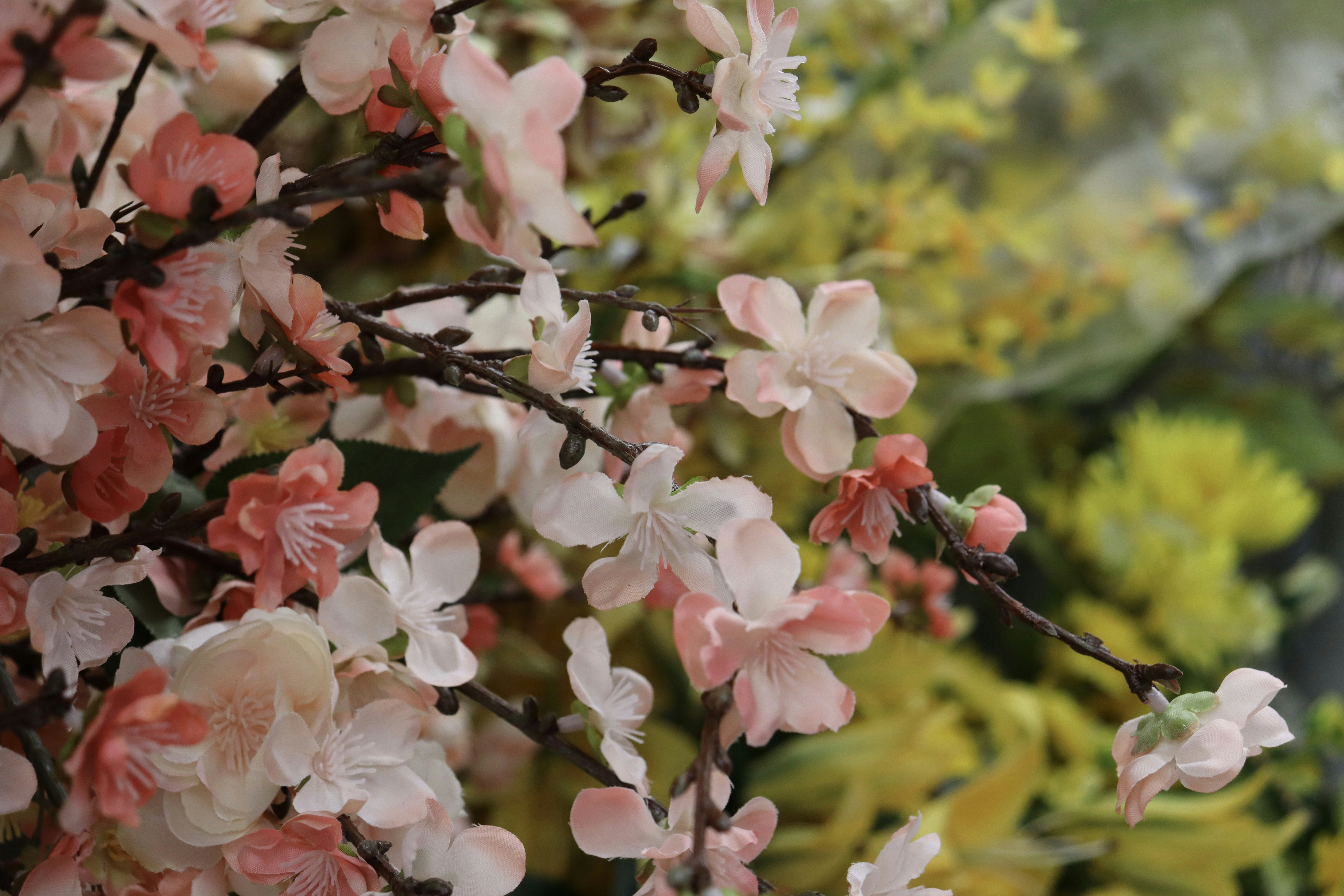 Pink Blossom Threads: A Quiet Spring Blur