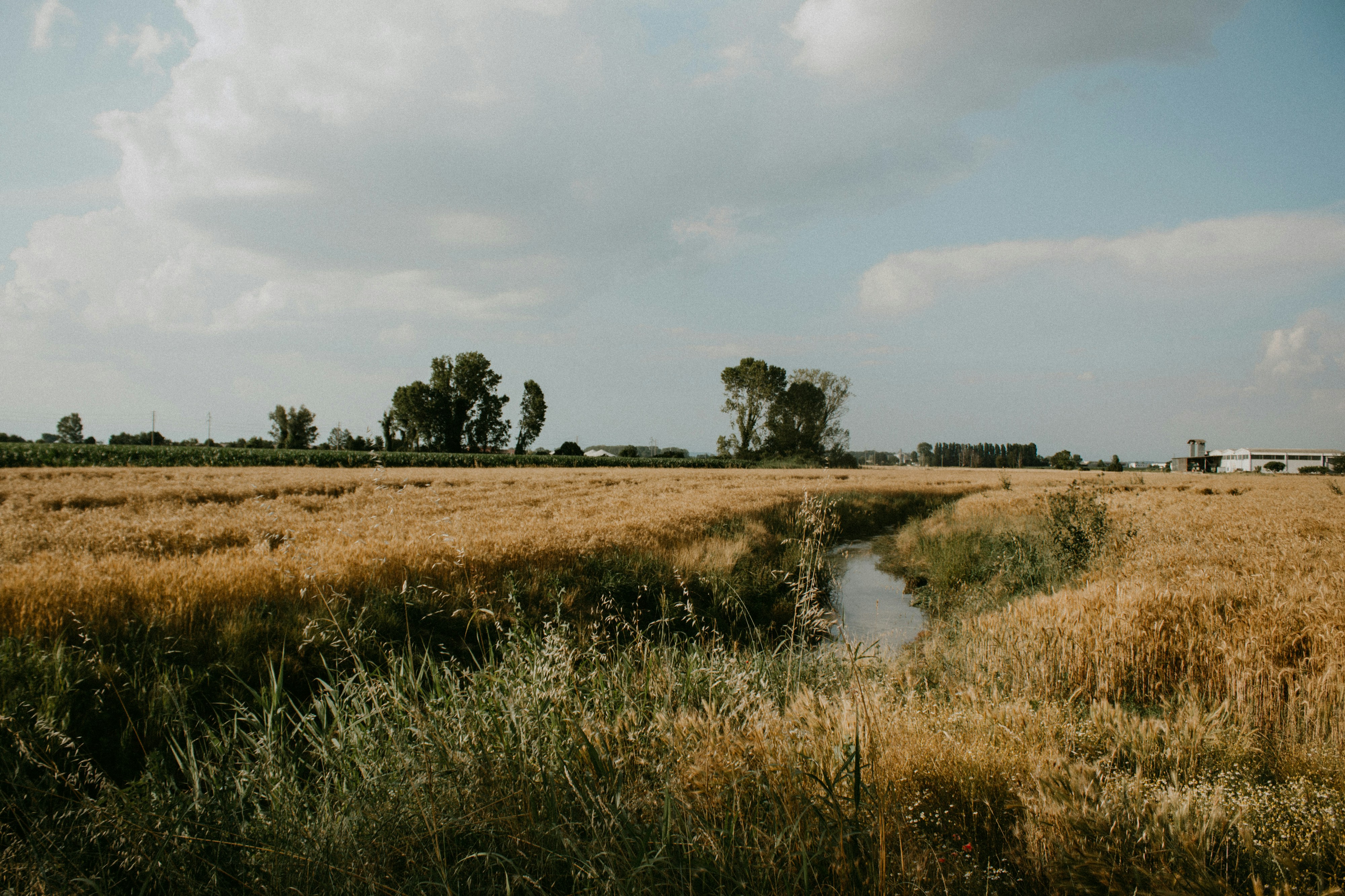 A grassy field with a stream running through it photo – Free Casaloldo ...