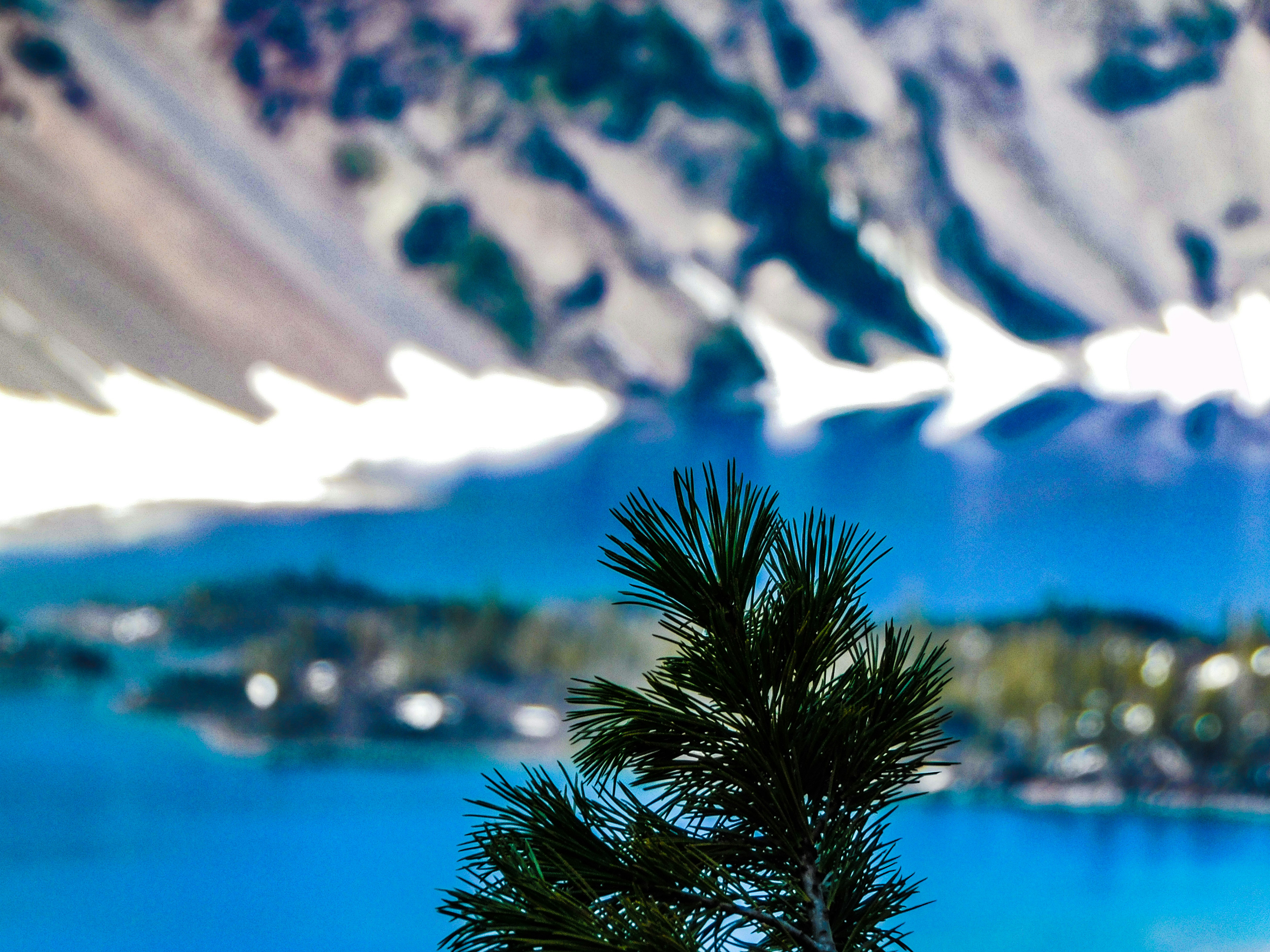 Pine Needle in Focus Amid Alpine Aqua