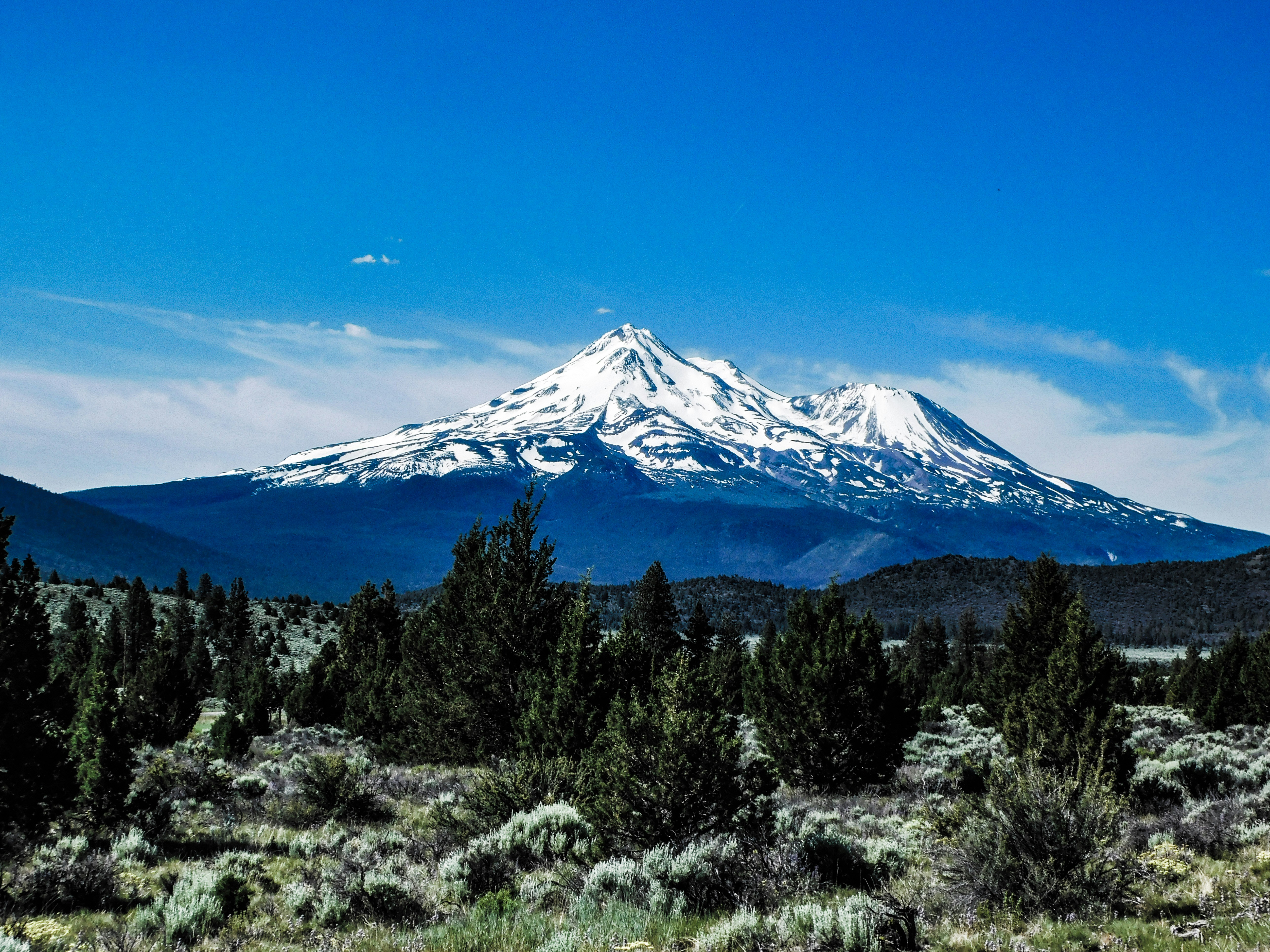 A snow covered mountain in the distance with trees in the foreground ...