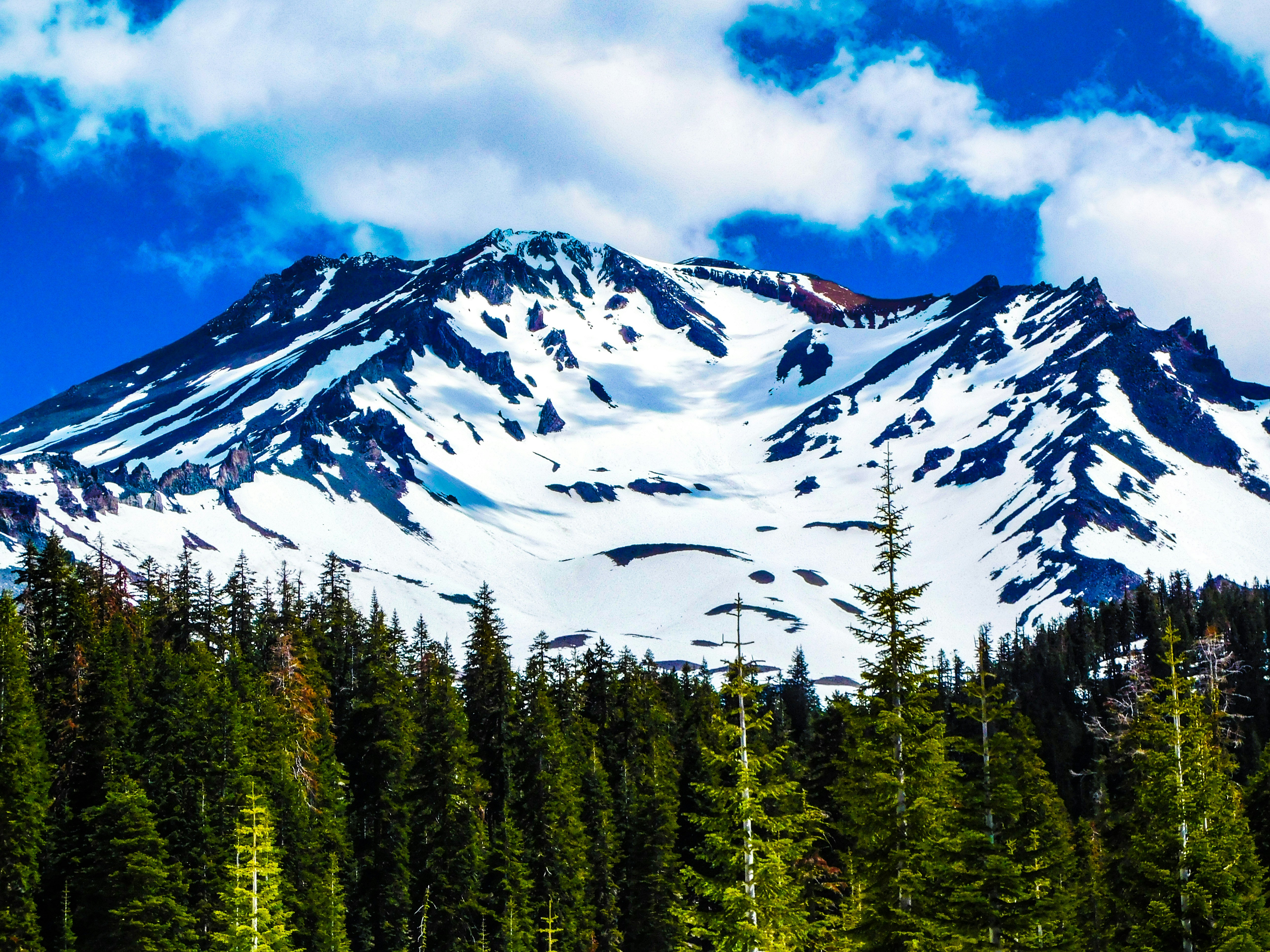A snow covered mountain surrounded by pine trees photo – Free Mount ...